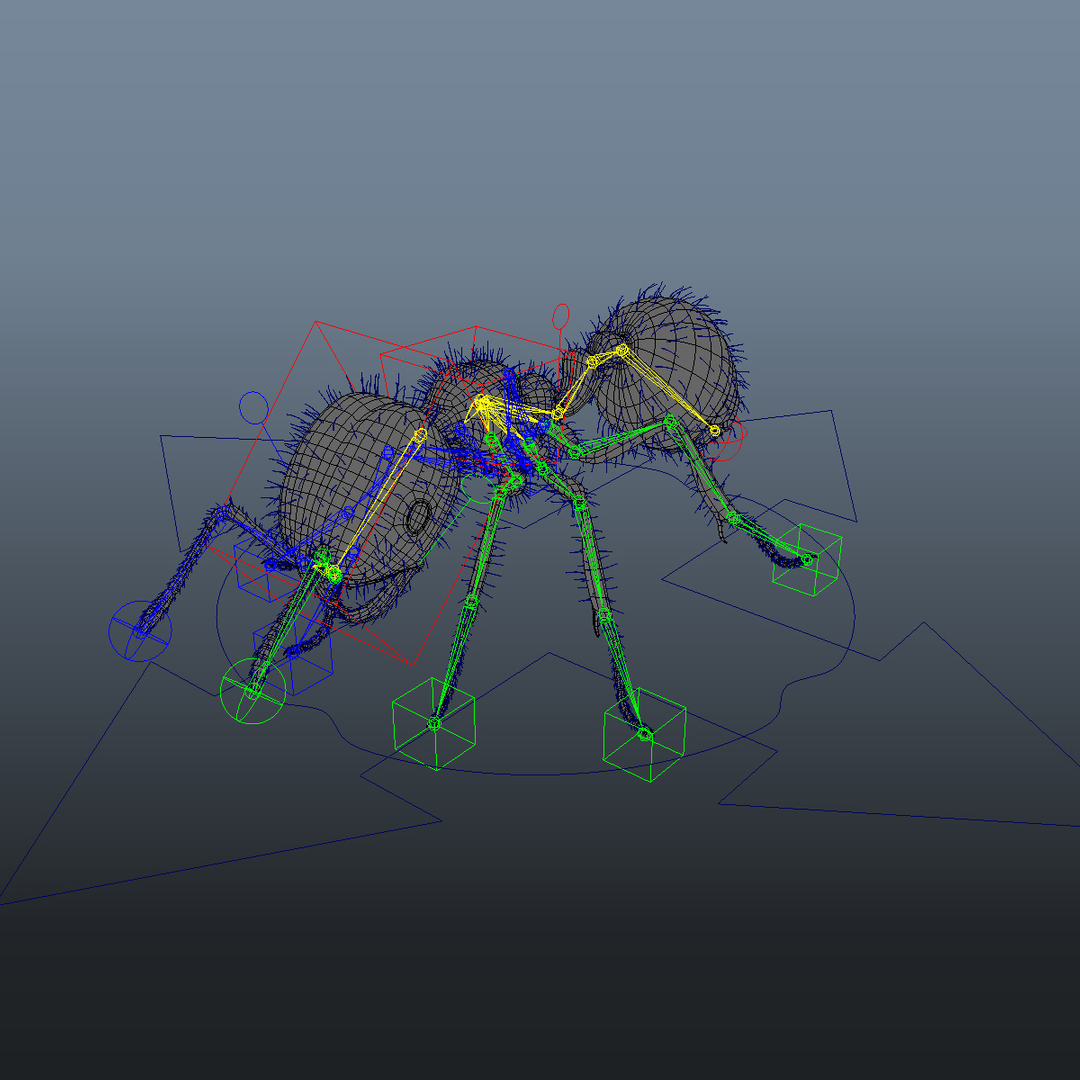 3d ant animation model