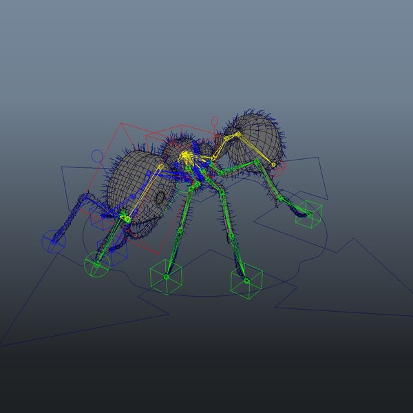 3d ant animation model