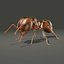 3d Ant Animation Model