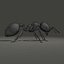 3d Ant Animation Model