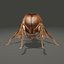3d Ant Animation Model