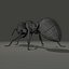 3d Ant Animation Model