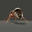 3d Ant Animation Model