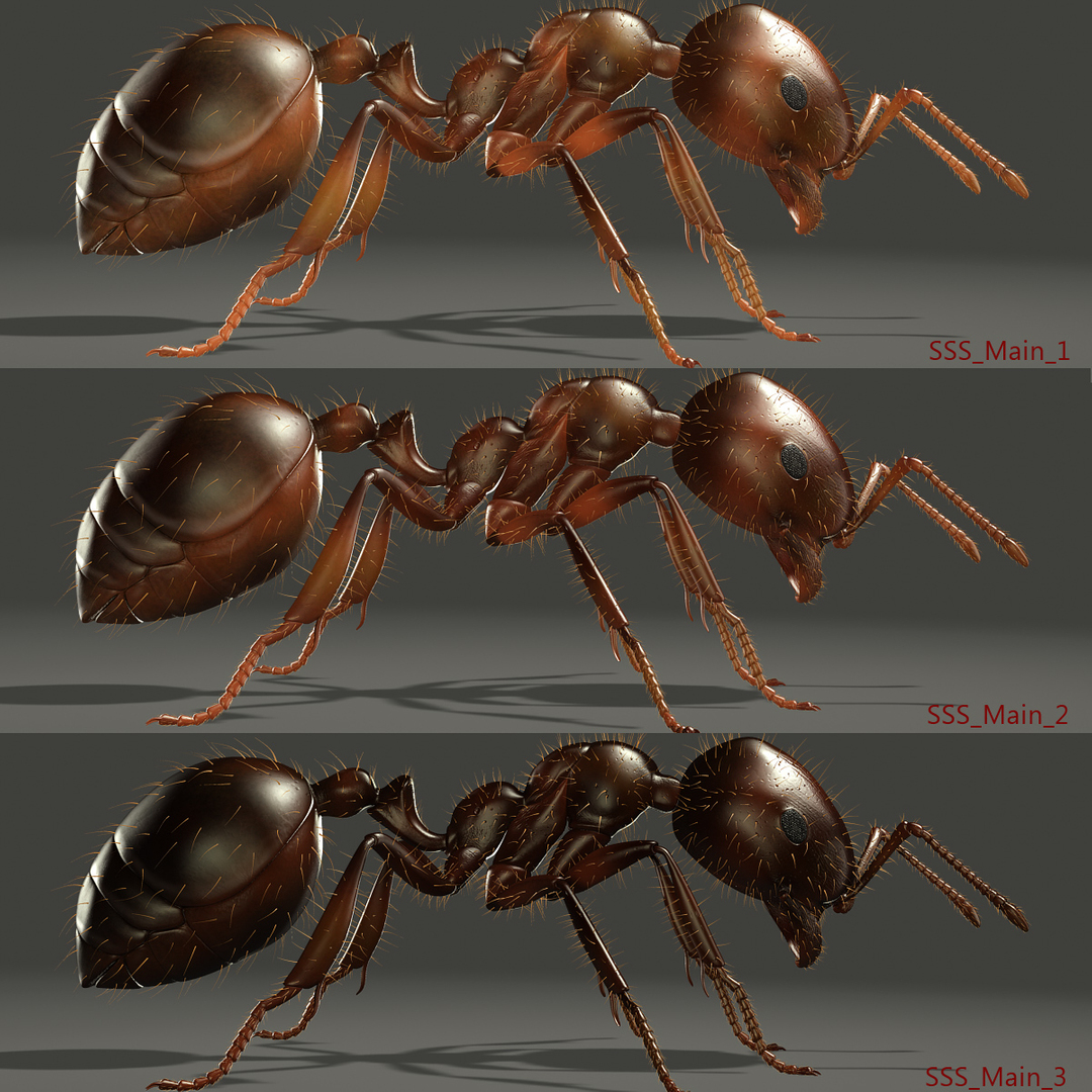 3d ant animation model