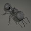 3d Ant Animation Model