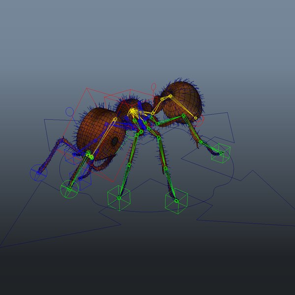 3d ant animation model