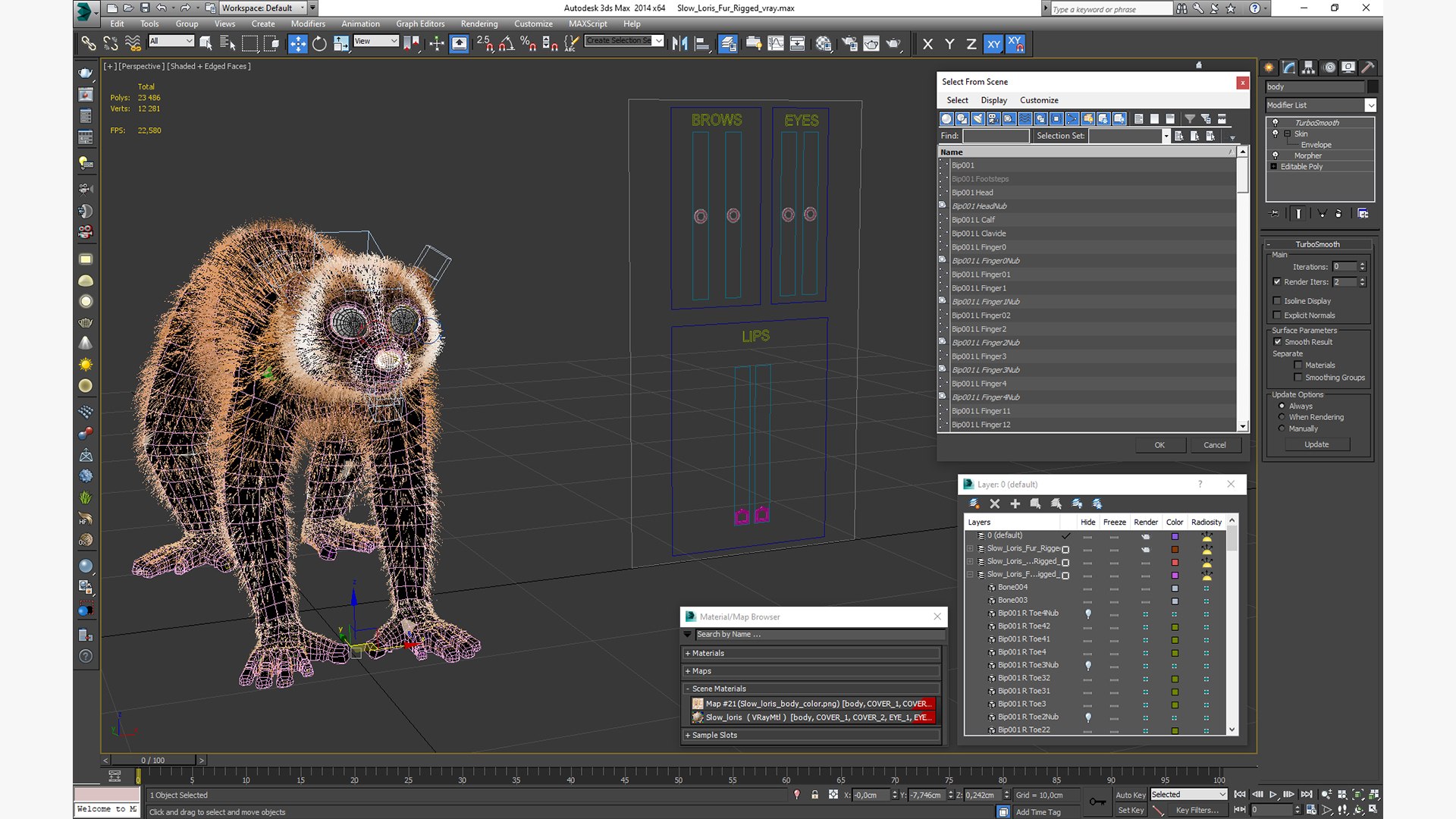 Slow Loris Fur Rigged 3D model - TurboSquid 2145984