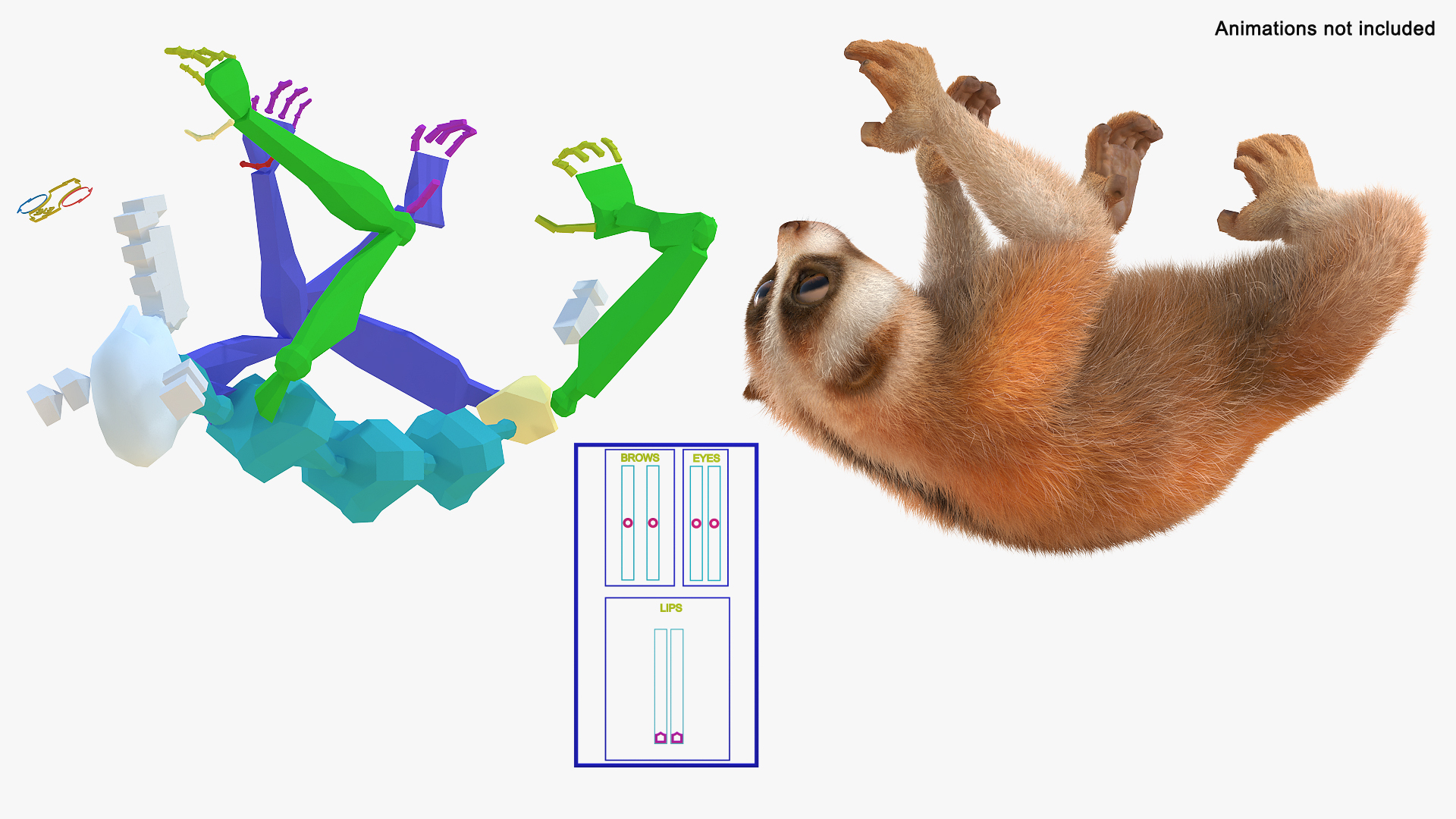 Slow Loris Fur Rigged 3D Model - TurboSquid 2145984