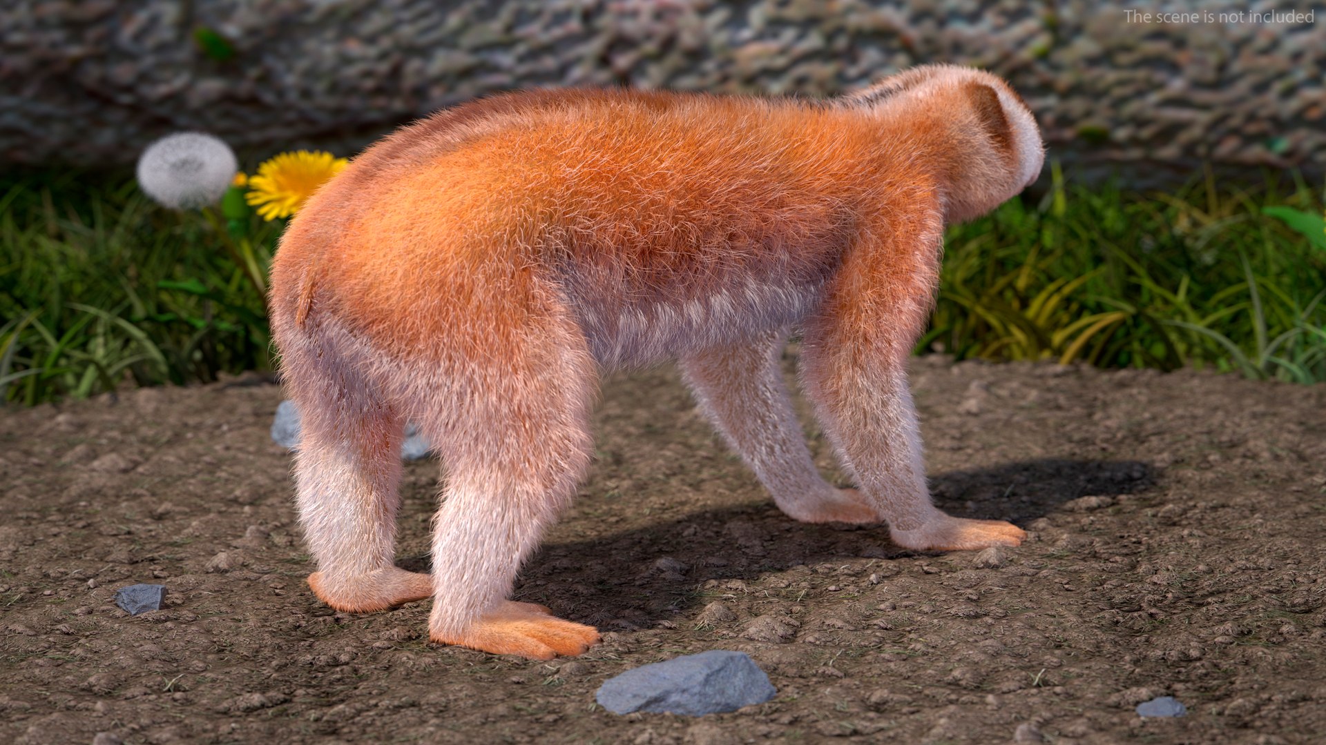 Slow Loris Fur Rigged 3D Model - TurboSquid 2145984
