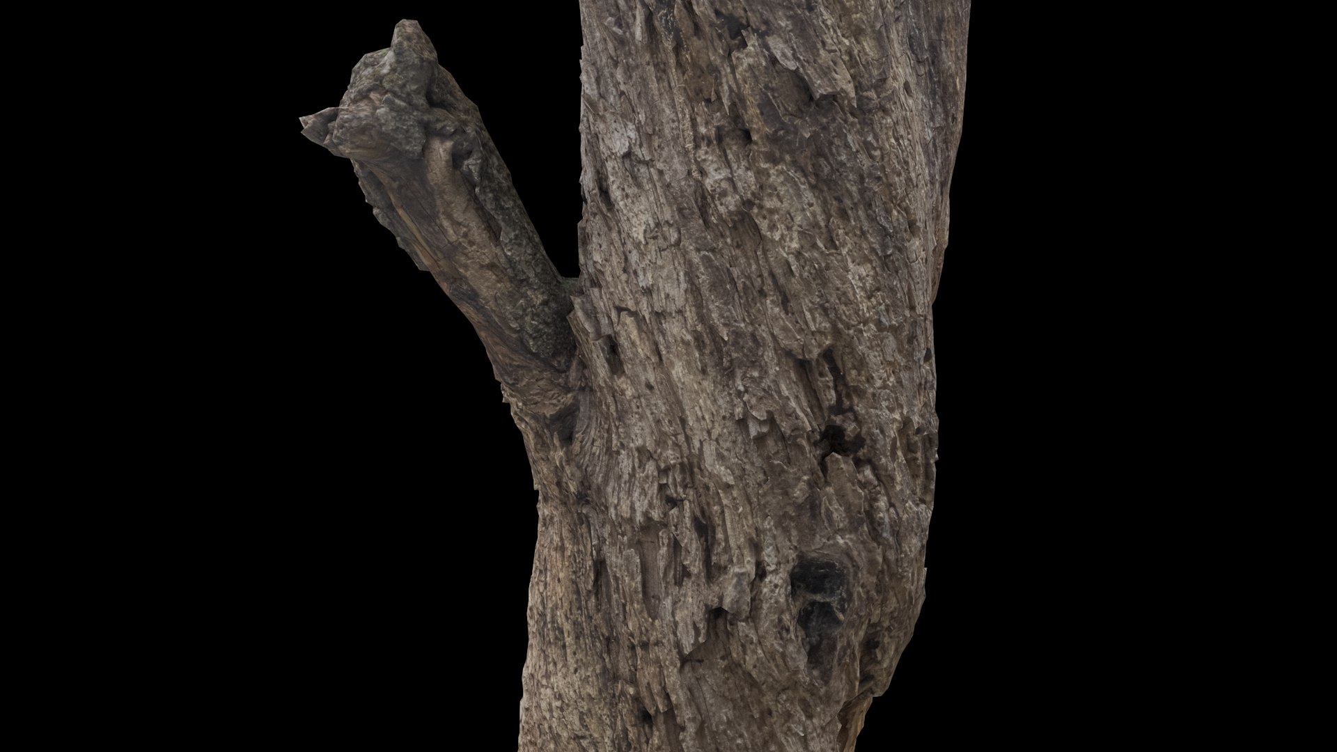 3D Withered Tree Trunk - TurboSquid 2118000