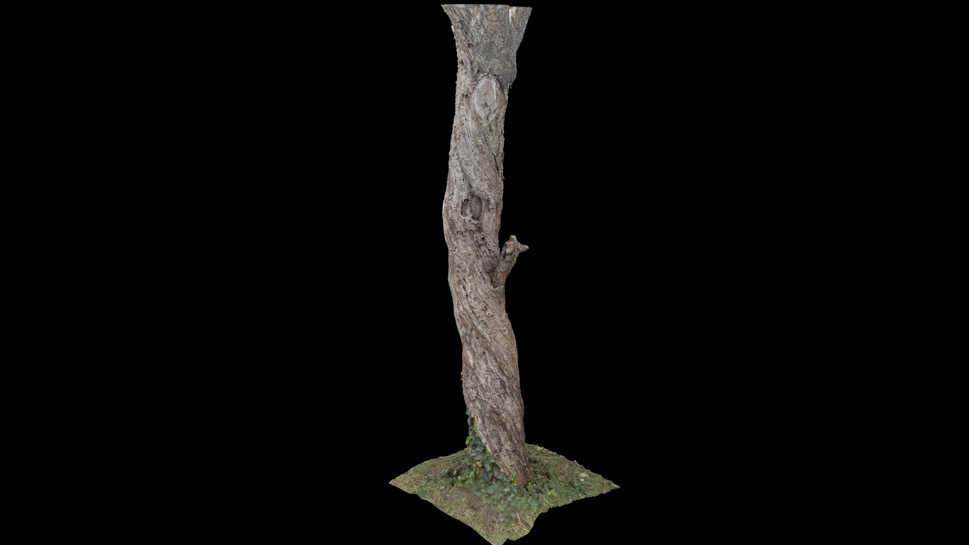 3D Withered Tree Trunk - TurboSquid 2118000
