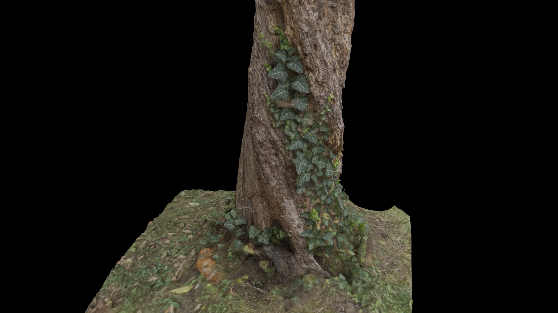 3D Withered Tree Trunk - TurboSquid 2118000