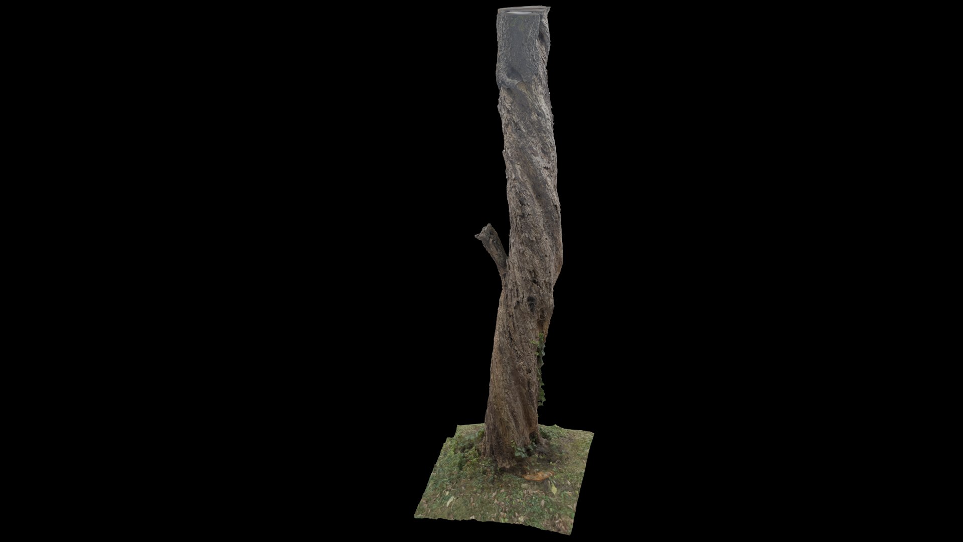 3D Withered Tree Trunk - TurboSquid 2118000