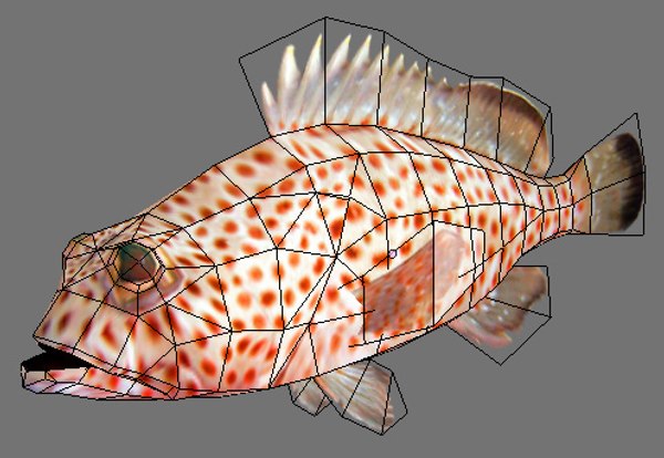 3d model fish games