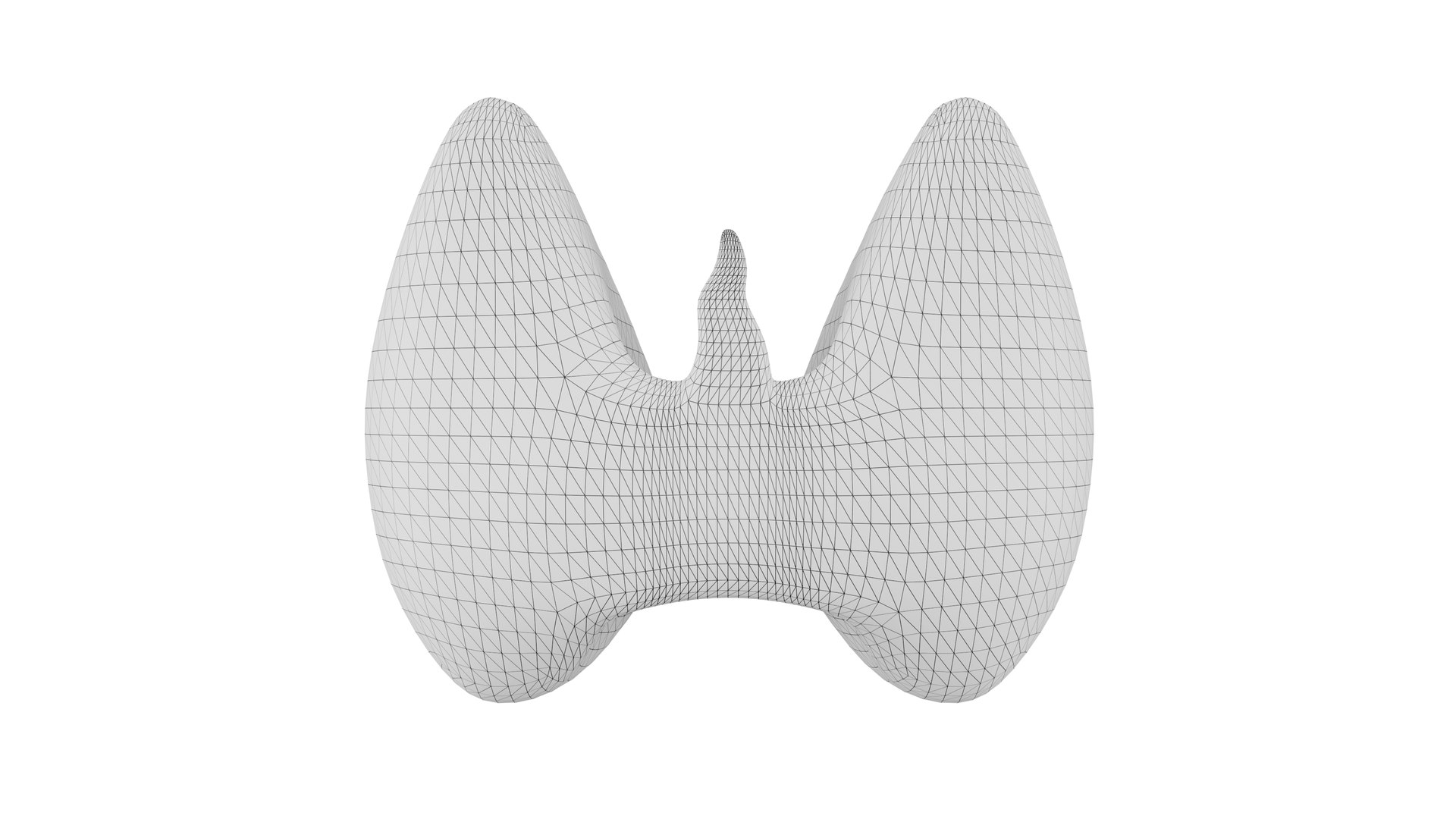 Thyroid 3D Model Model - TurboSquid 2216154