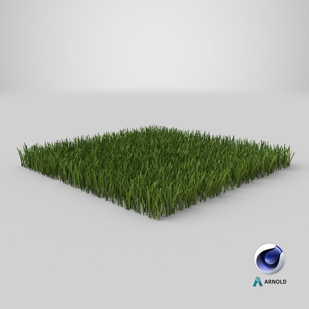 Grass Lawn 3D Model - TurboSquid 1574913