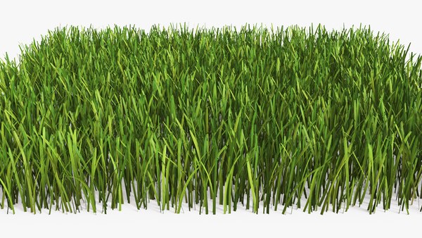 Grass lawn 3D model - TurboSquid 1574913