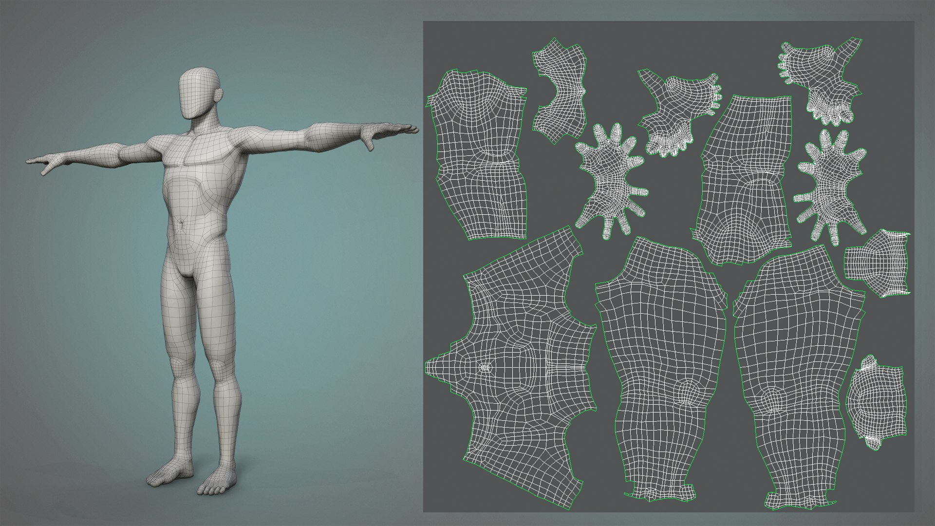 Male And Female Stylized Basemesh Model - TurboSquid 2249790