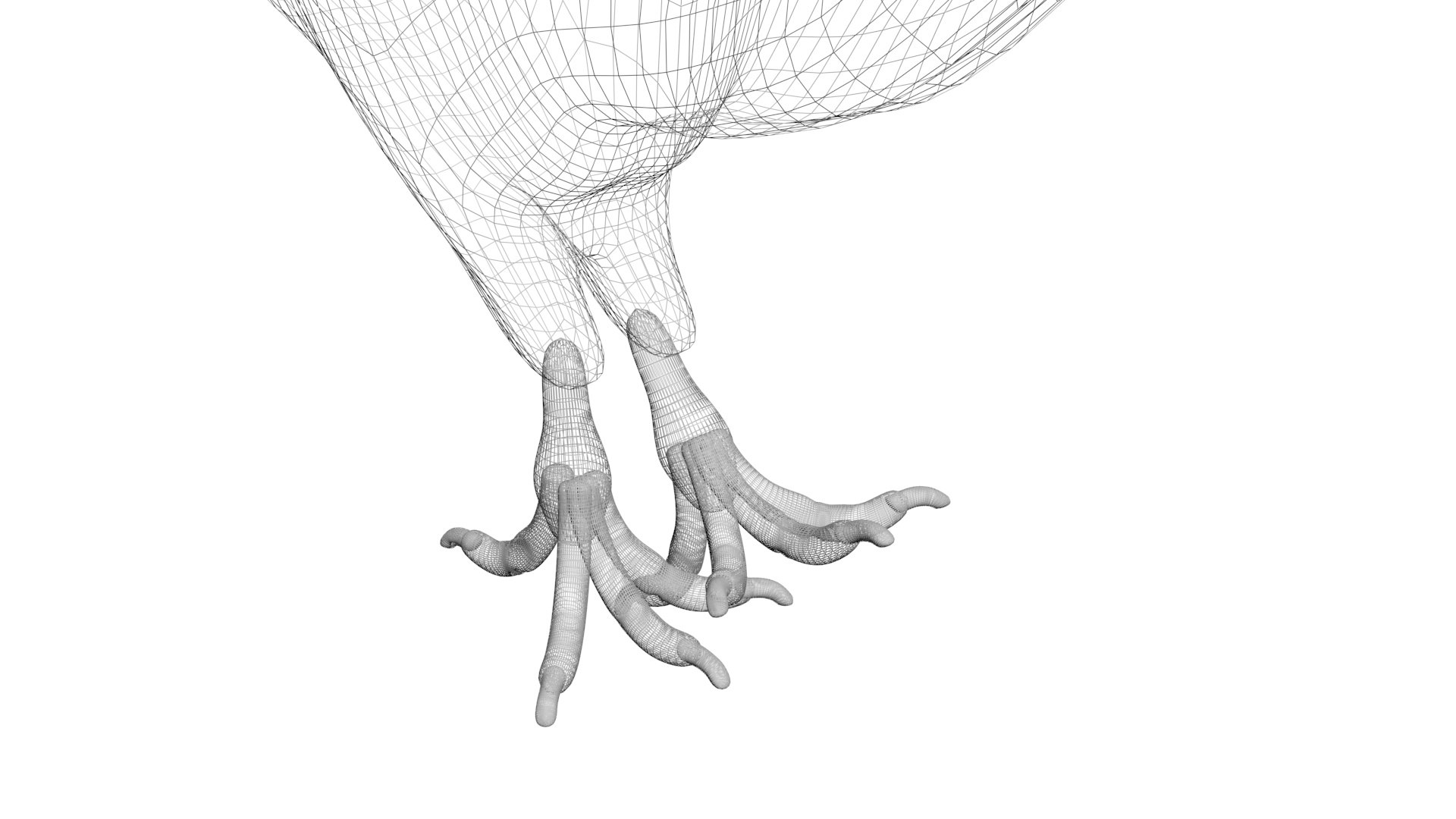 Pigeon Model - TurboSquid 1923394