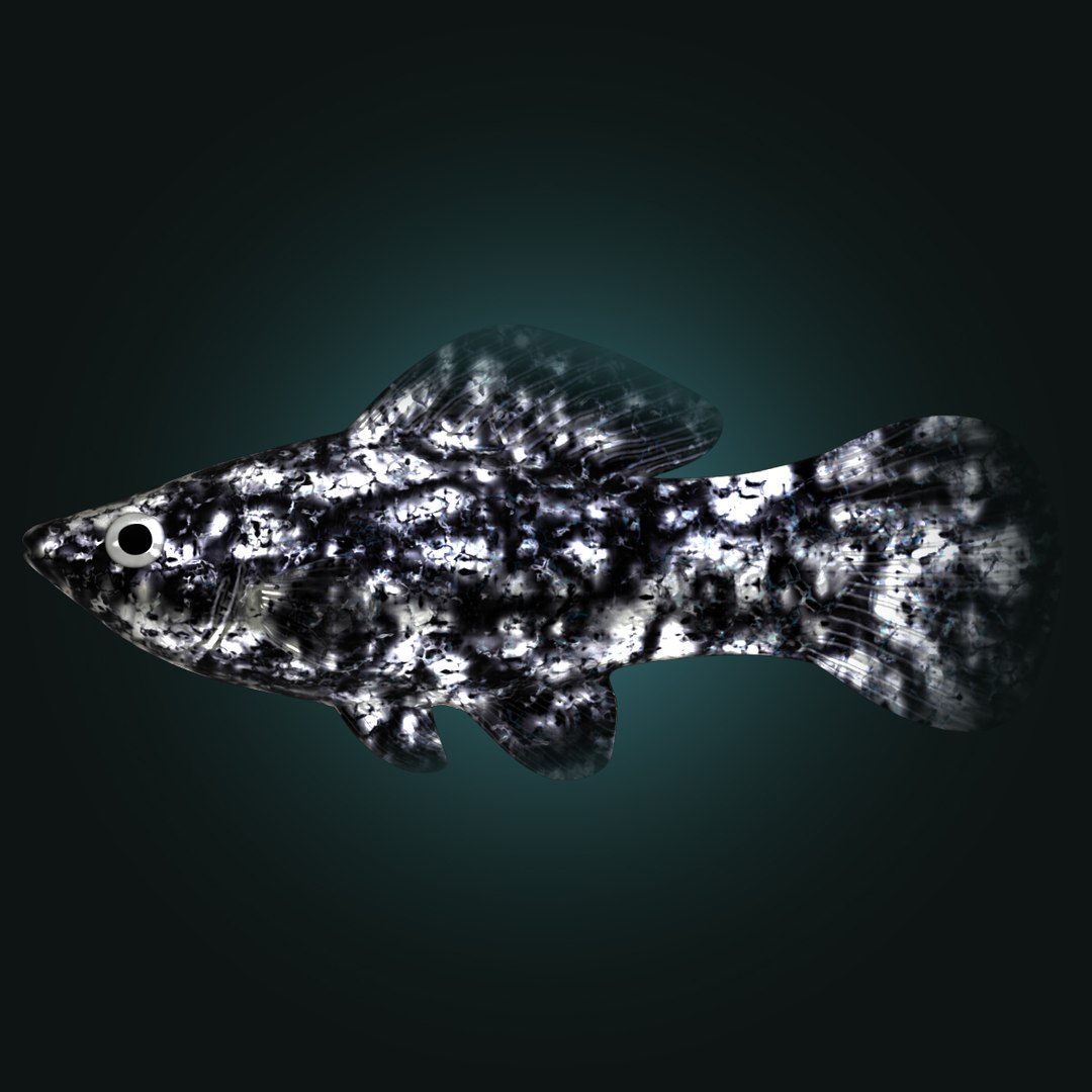 3d Dalmation Molly Male Female Model