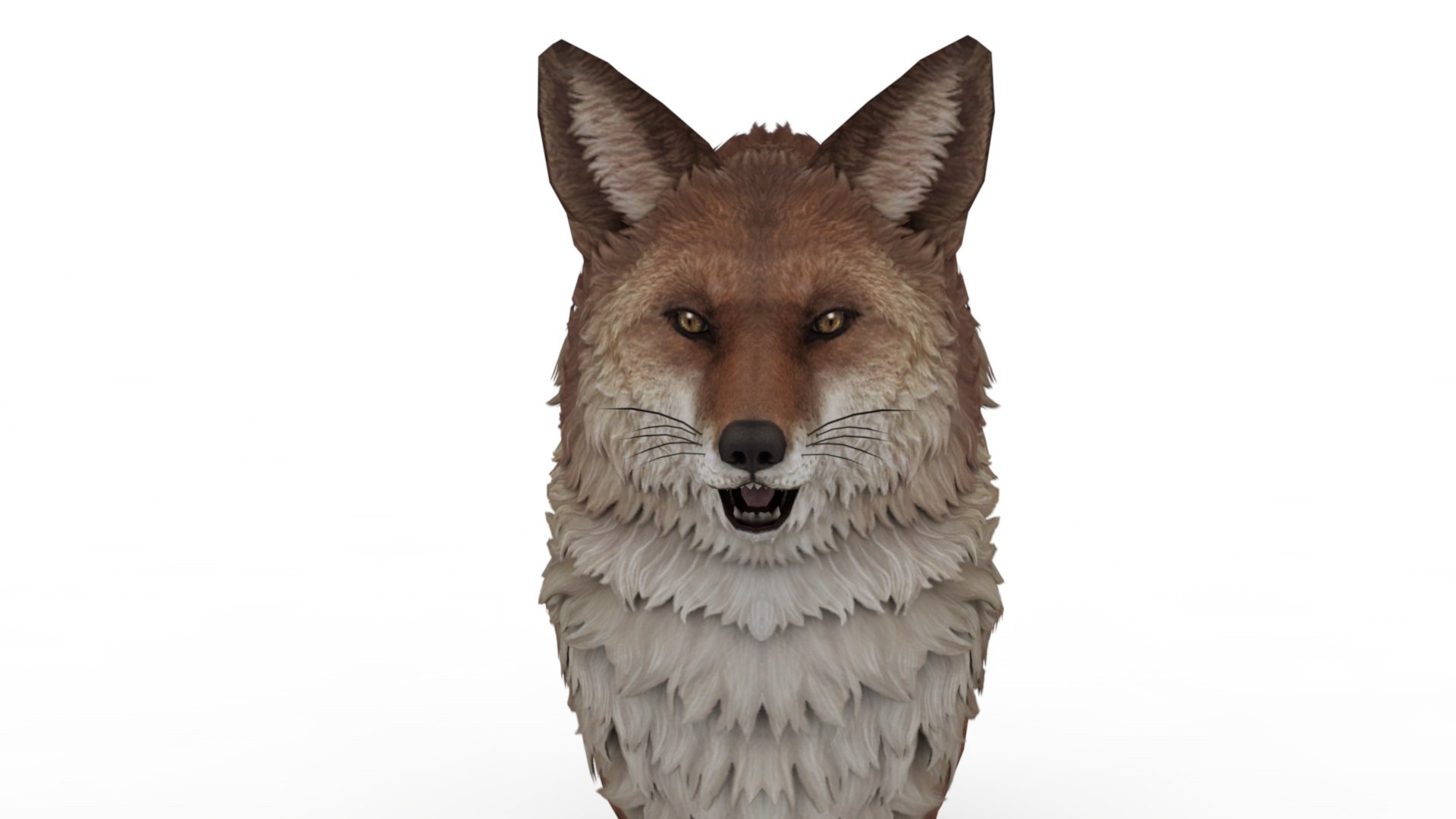 3D Red Fox - TurboSquid 1910811
