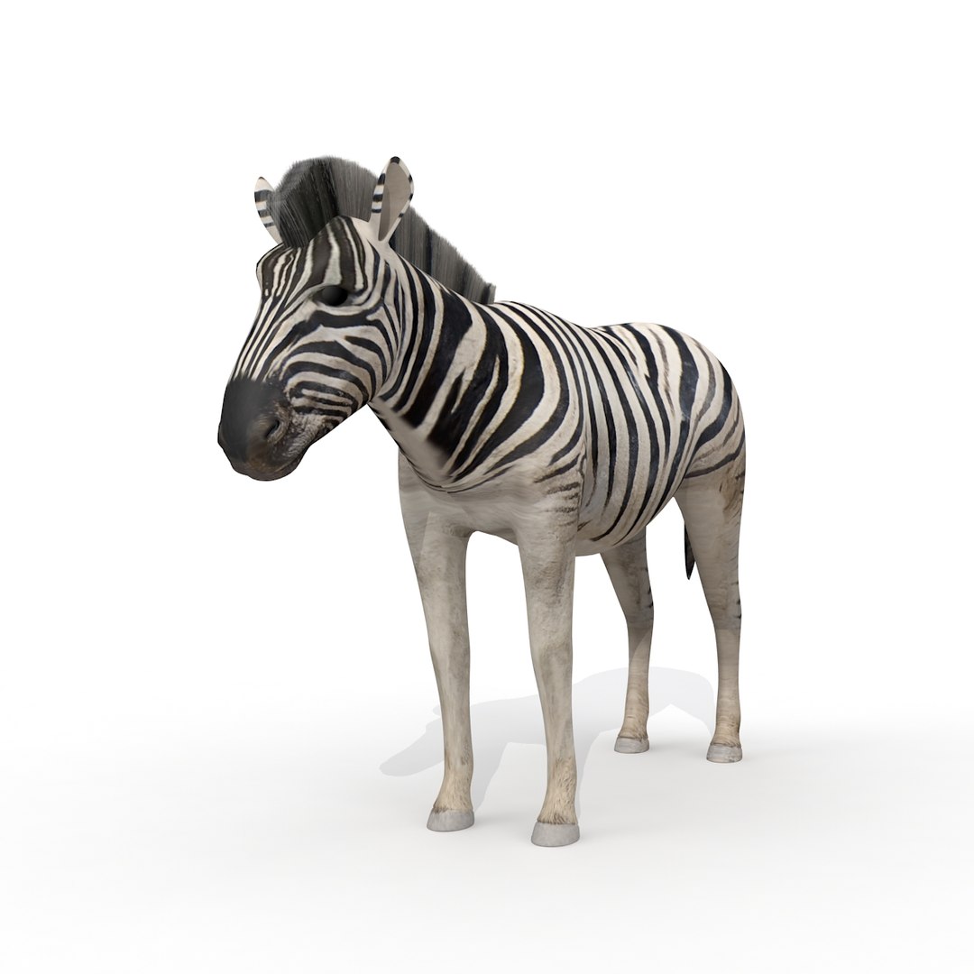 Maya Zebra Giraffe Rigged
