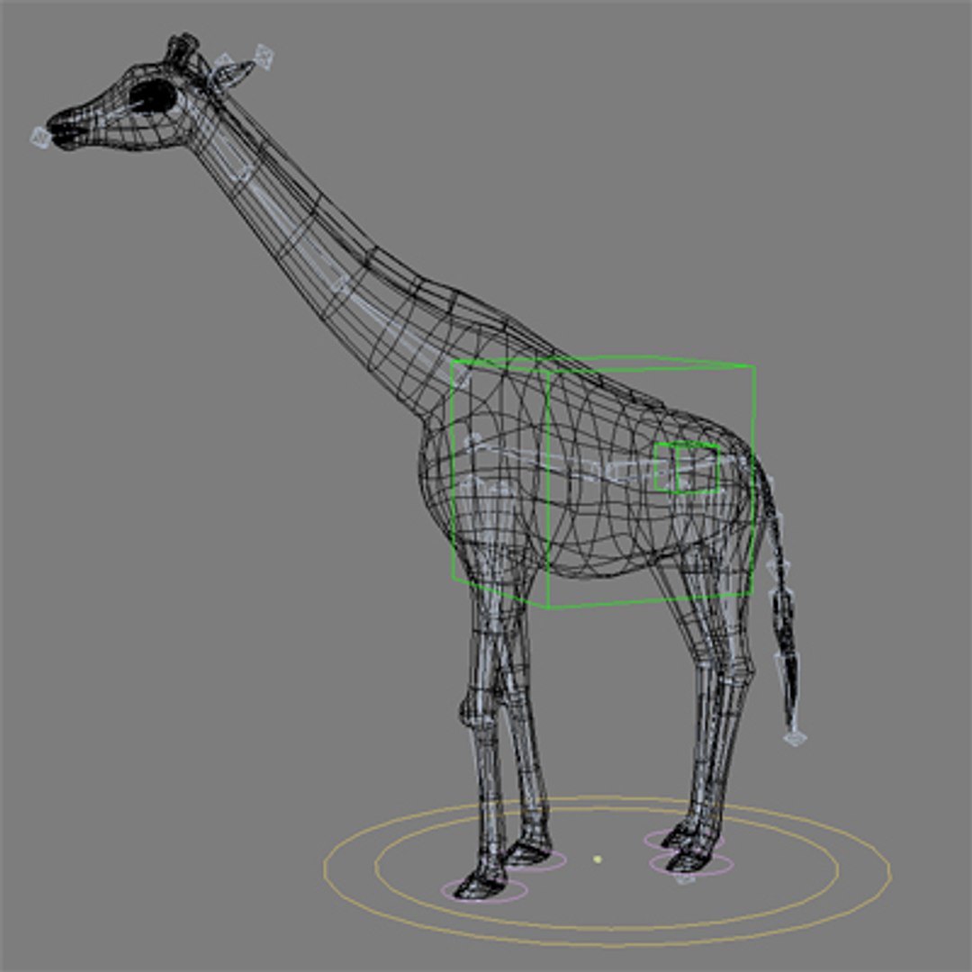 Maya Zebra Giraffe Rigged