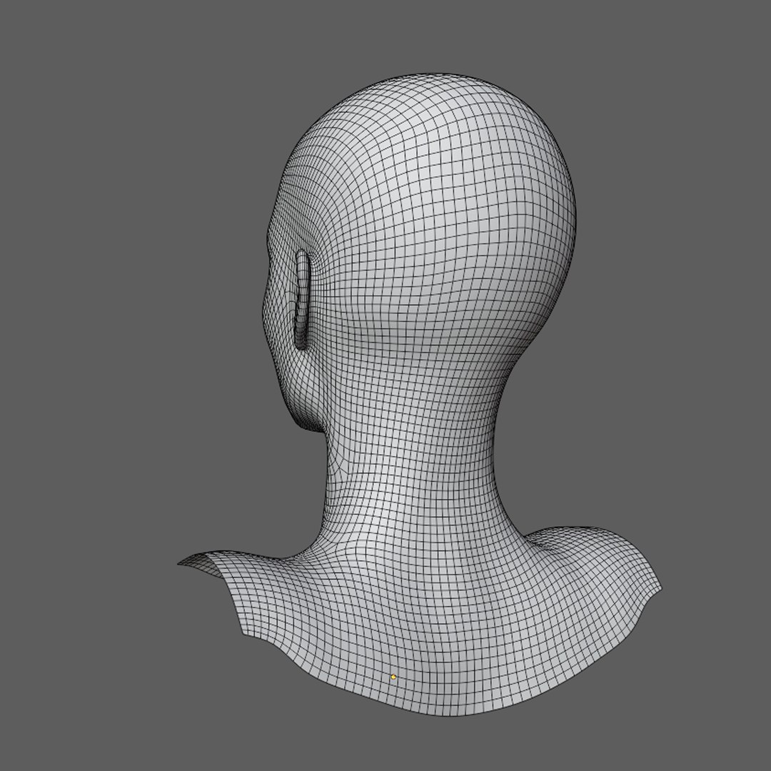 Female Head Model - TurboSquid 1659967