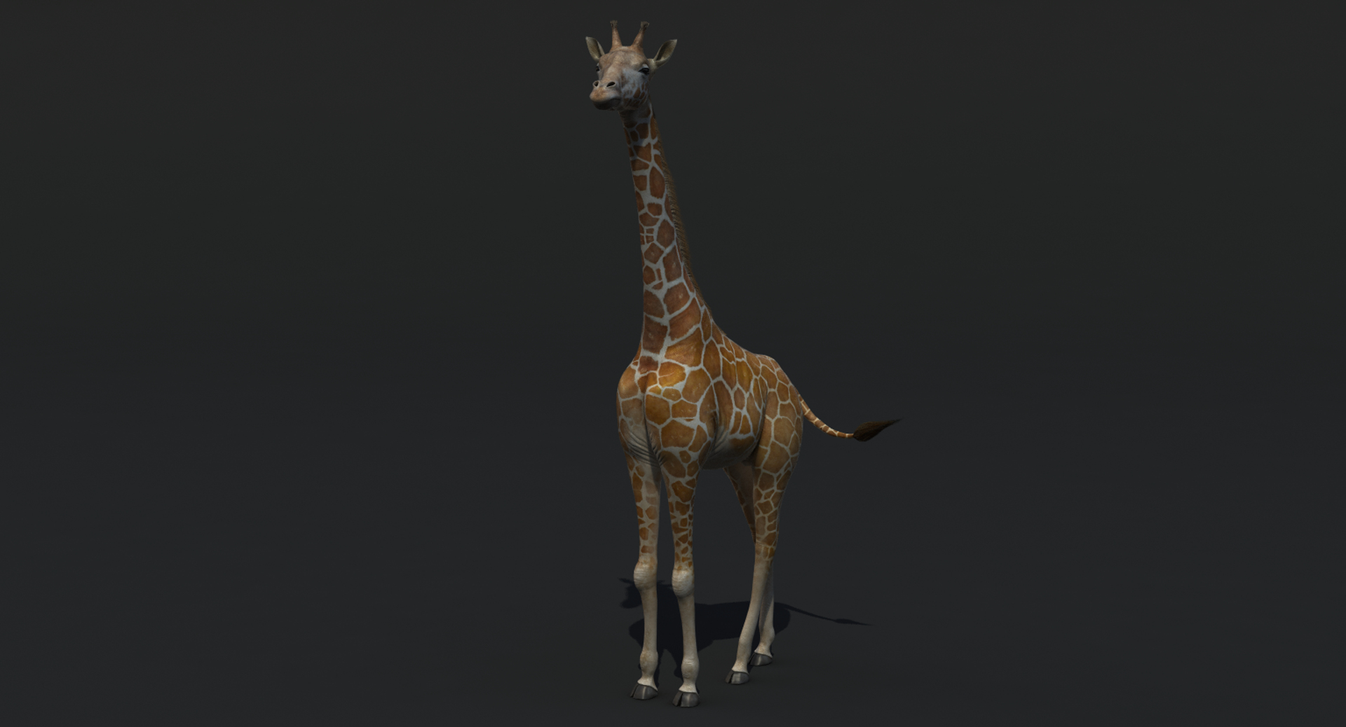 Realistic Giraffe Rig 3d Model