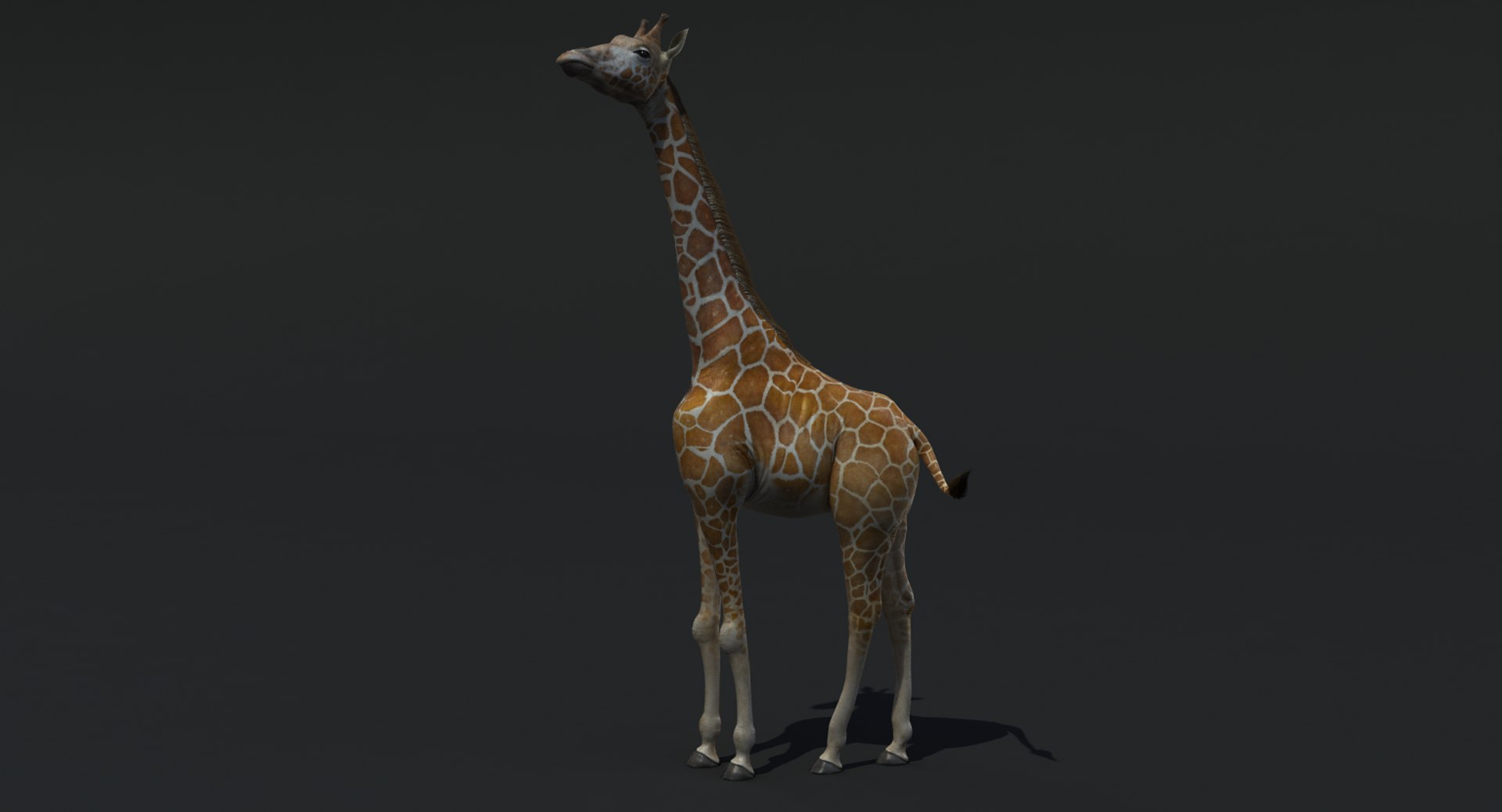 Realistic Giraffe Rig 3d Model