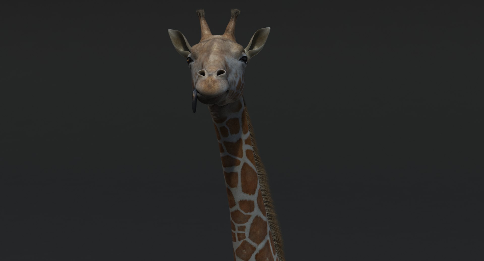 Realistic Giraffe Rig 3d Model