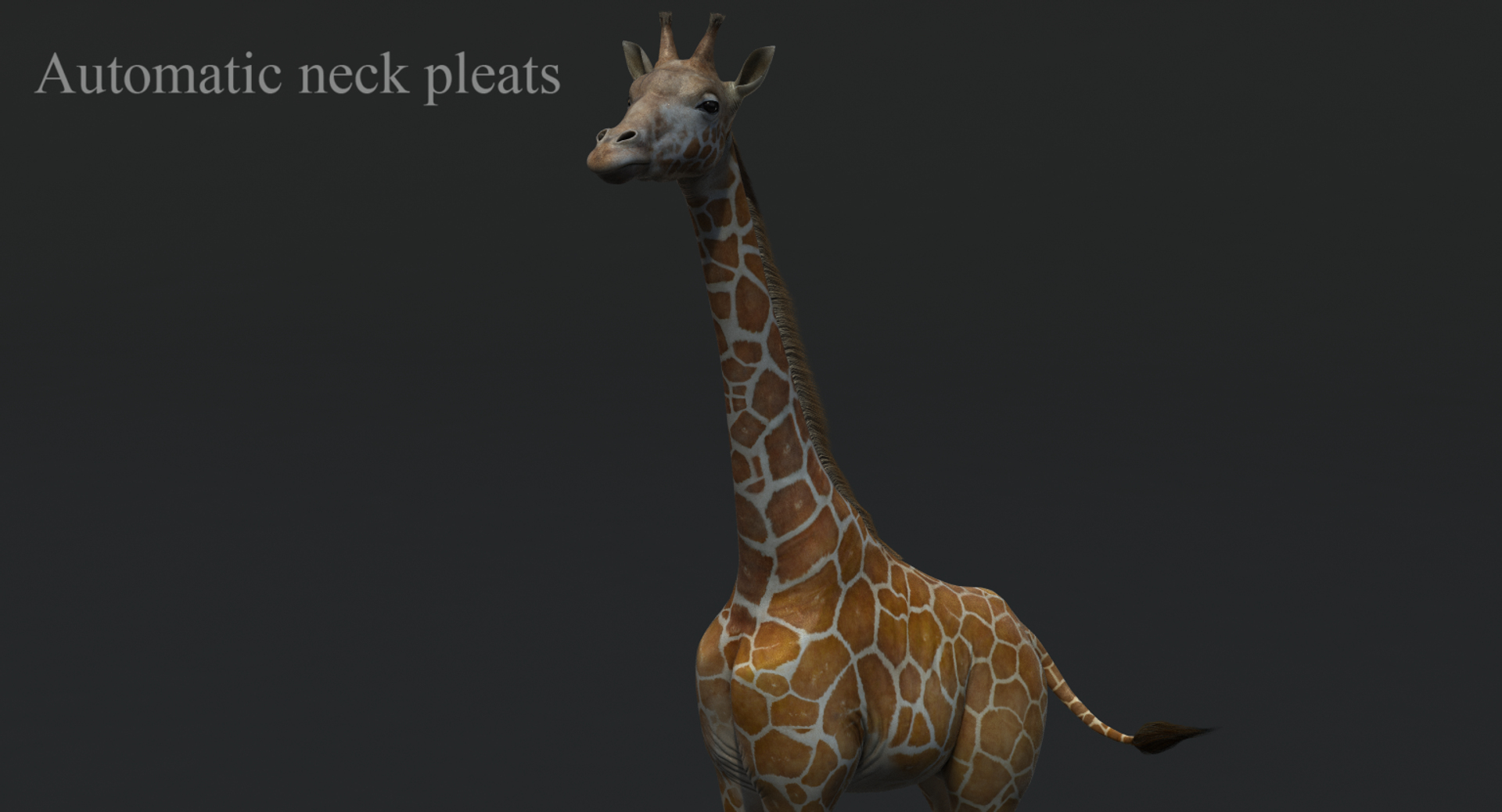 Realistic Giraffe Rig 3d Model