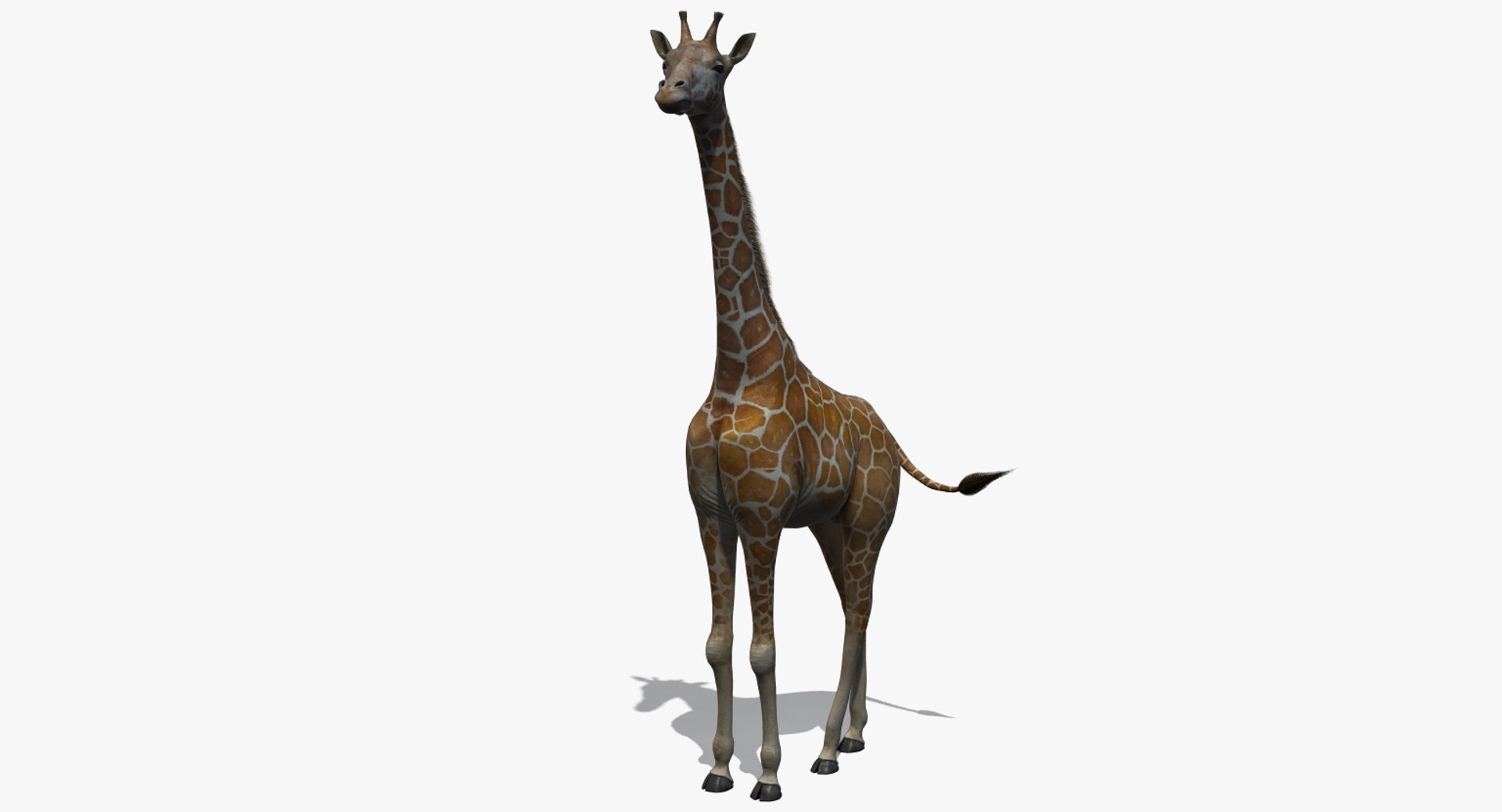 Realistic Giraffe Rig 3d Model