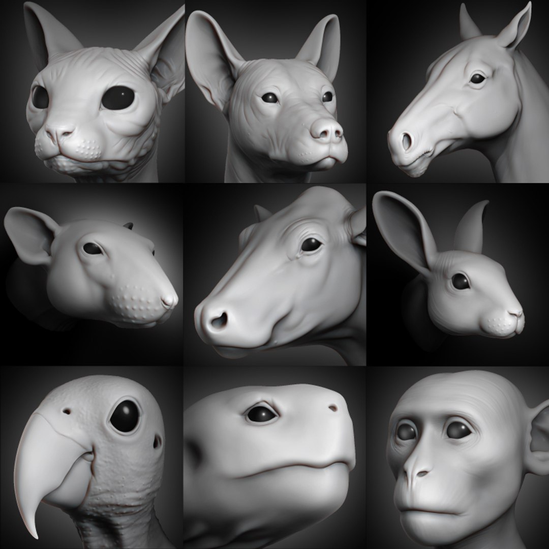Animal head vol 1 3D model - TurboSquid 1430847