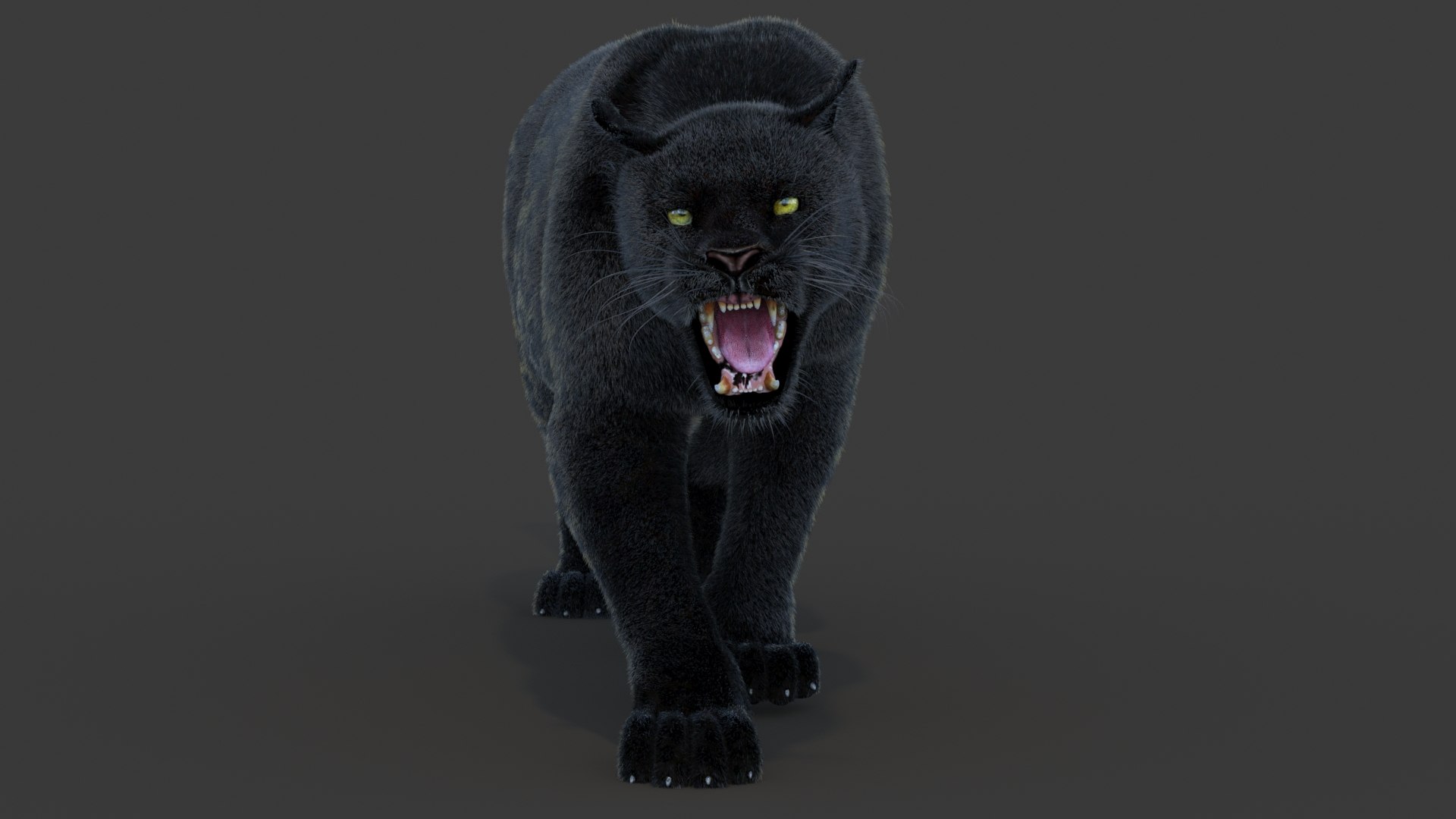 3d Model Black Panther Fur Cat