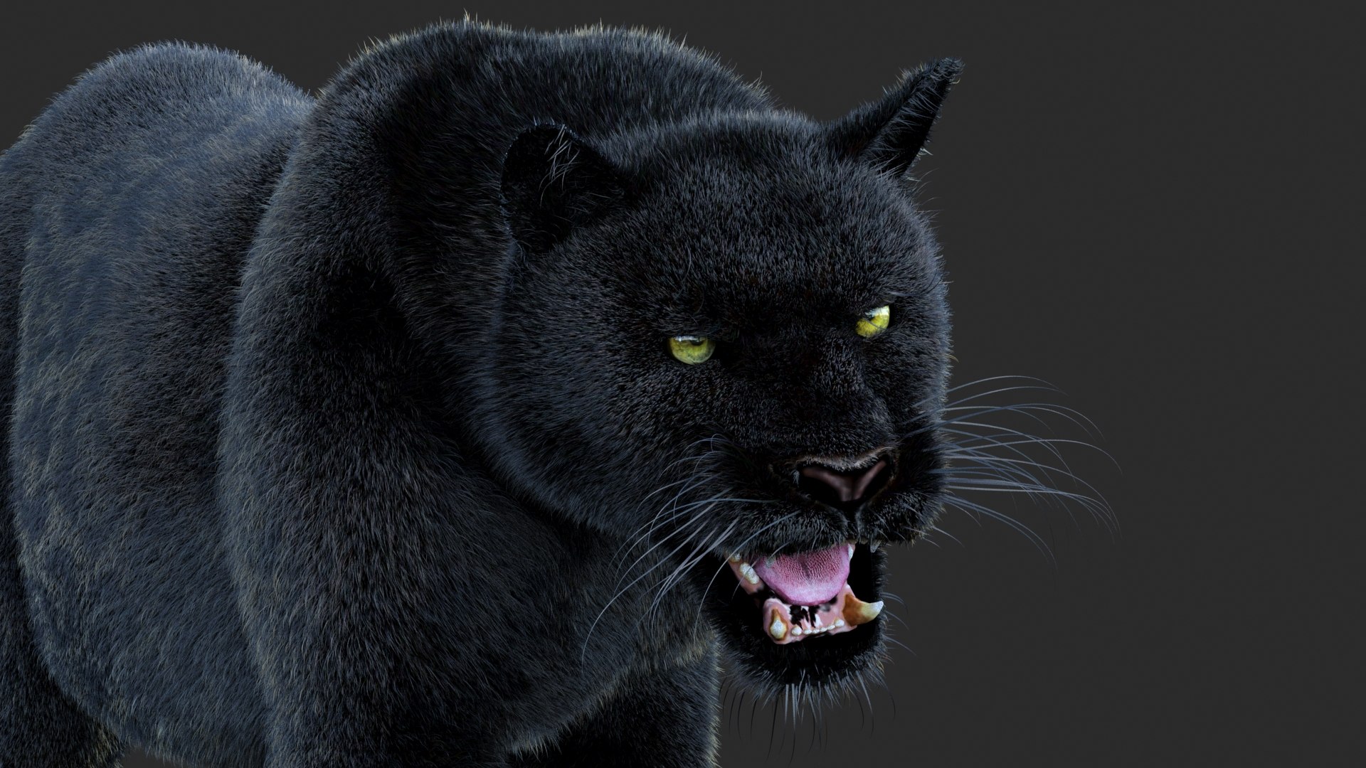 3d Model Black Panther Fur Cat