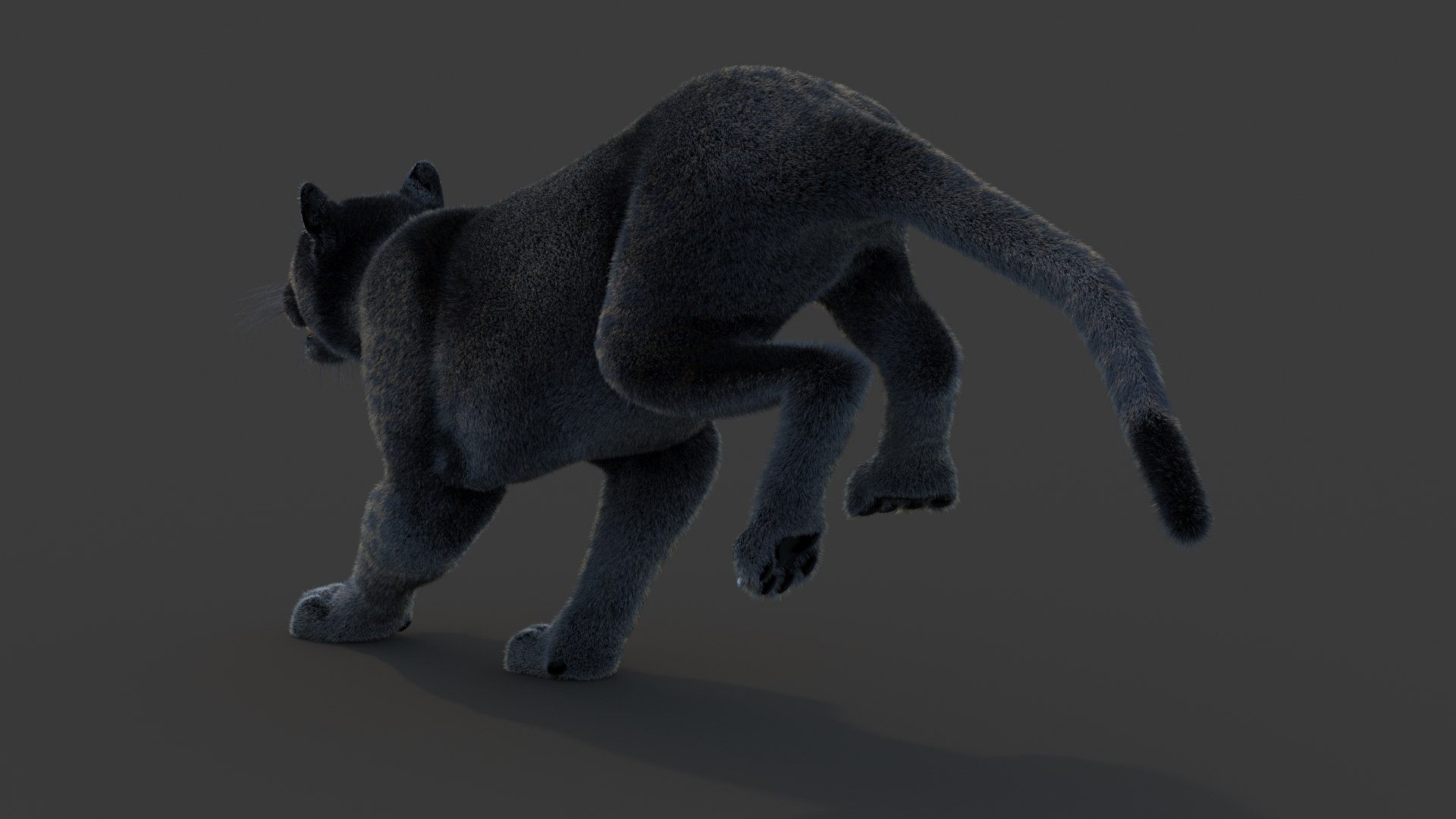 3d Model Black Panther Fur Cat