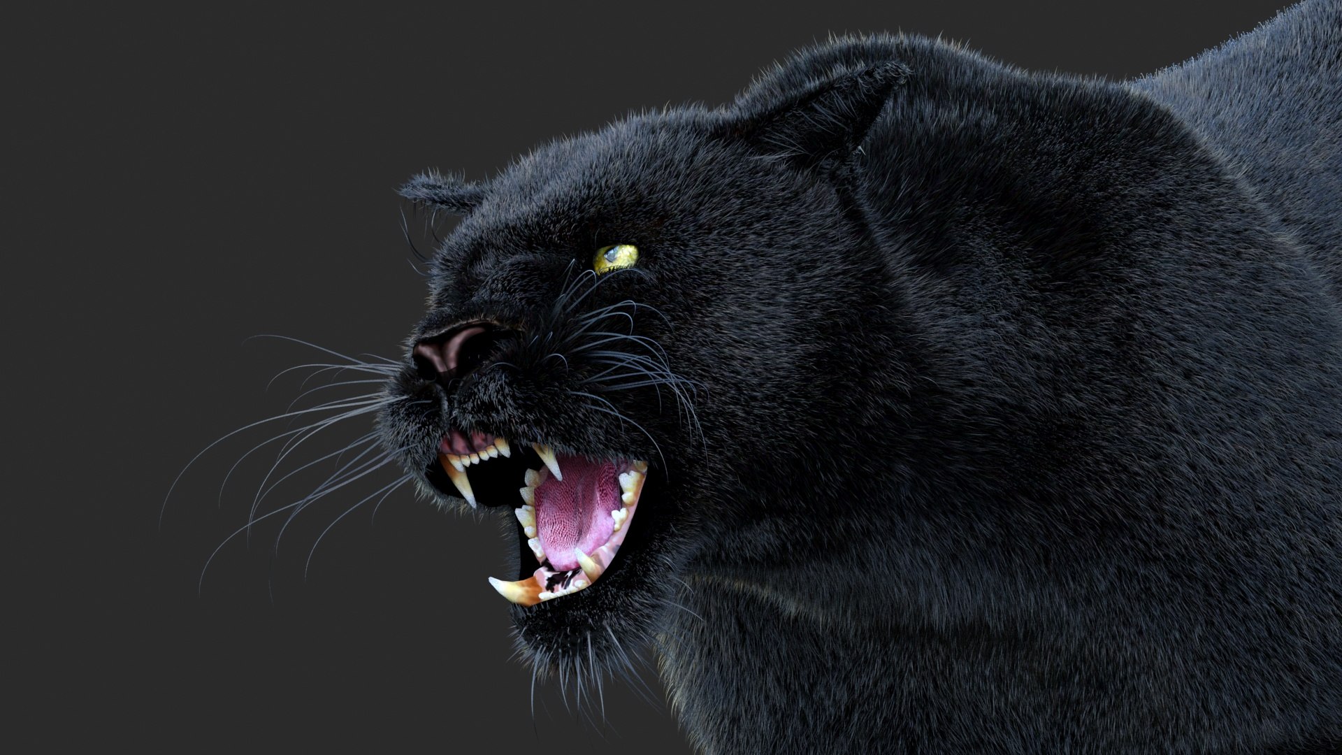 3d Model Black Panther Fur Cat