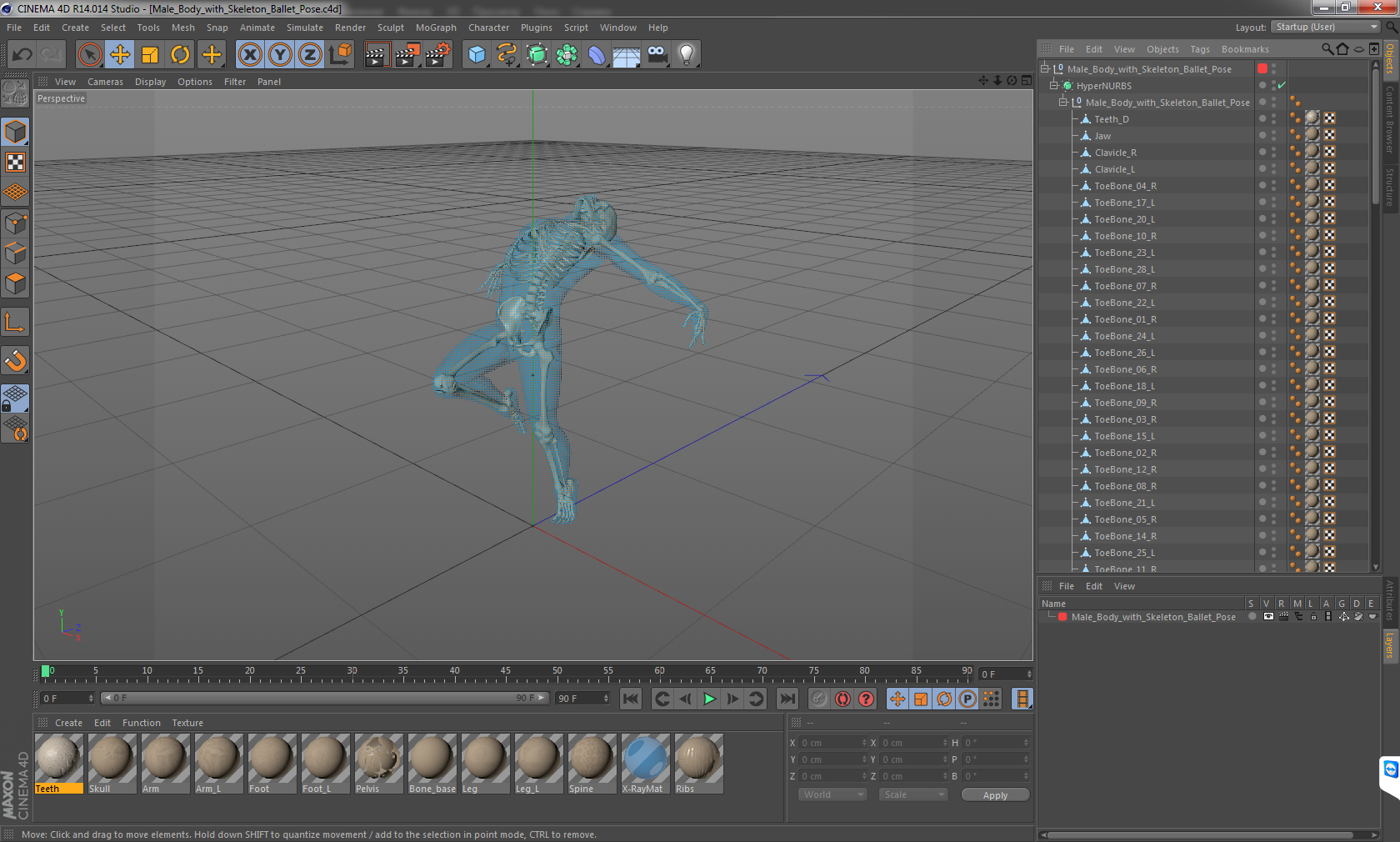 Male body skeleton ballet 3D - TurboSquid 1229825
