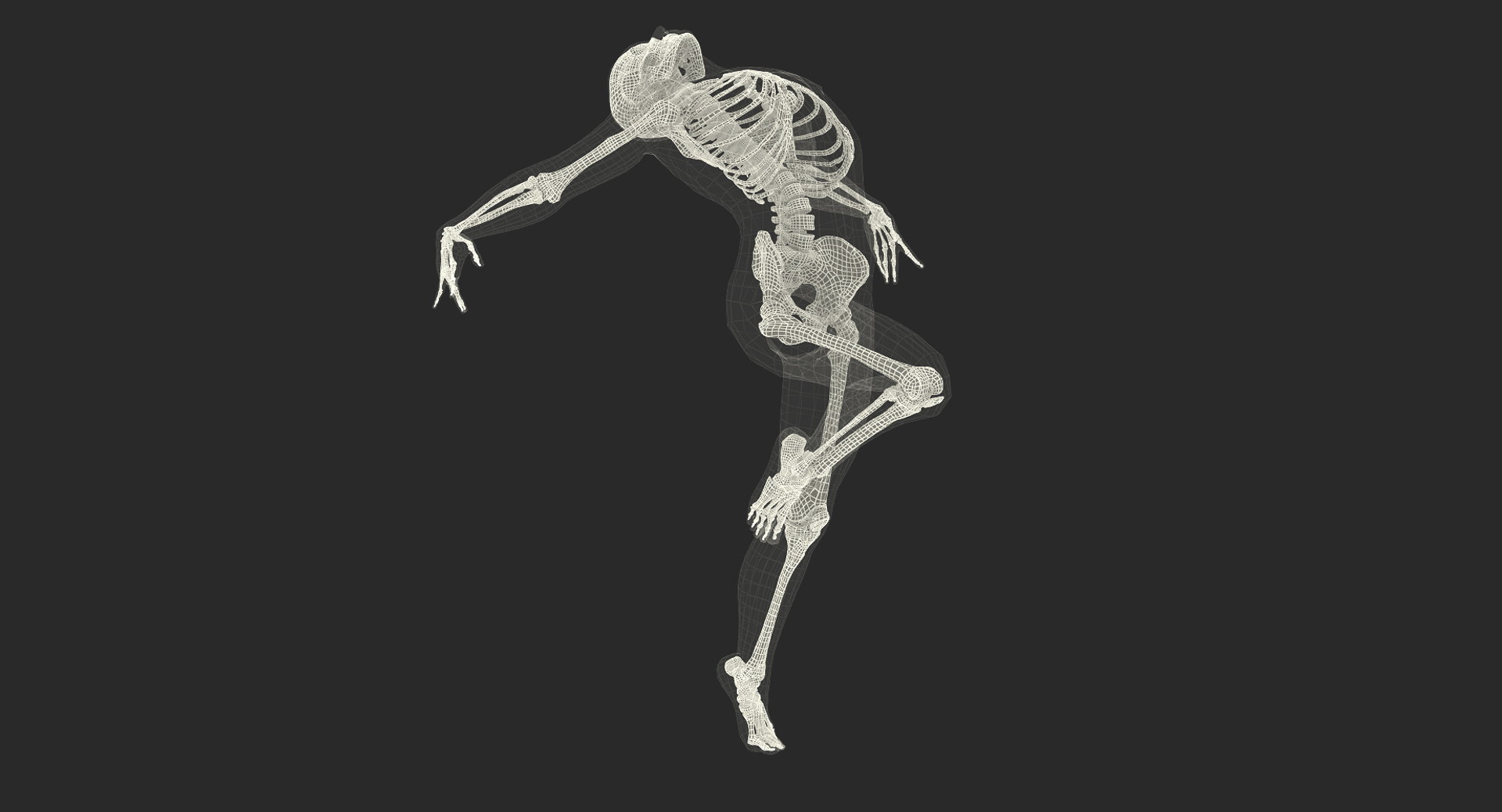 Male Body Skeleton Ballet 3D - TurboSquid 1229825