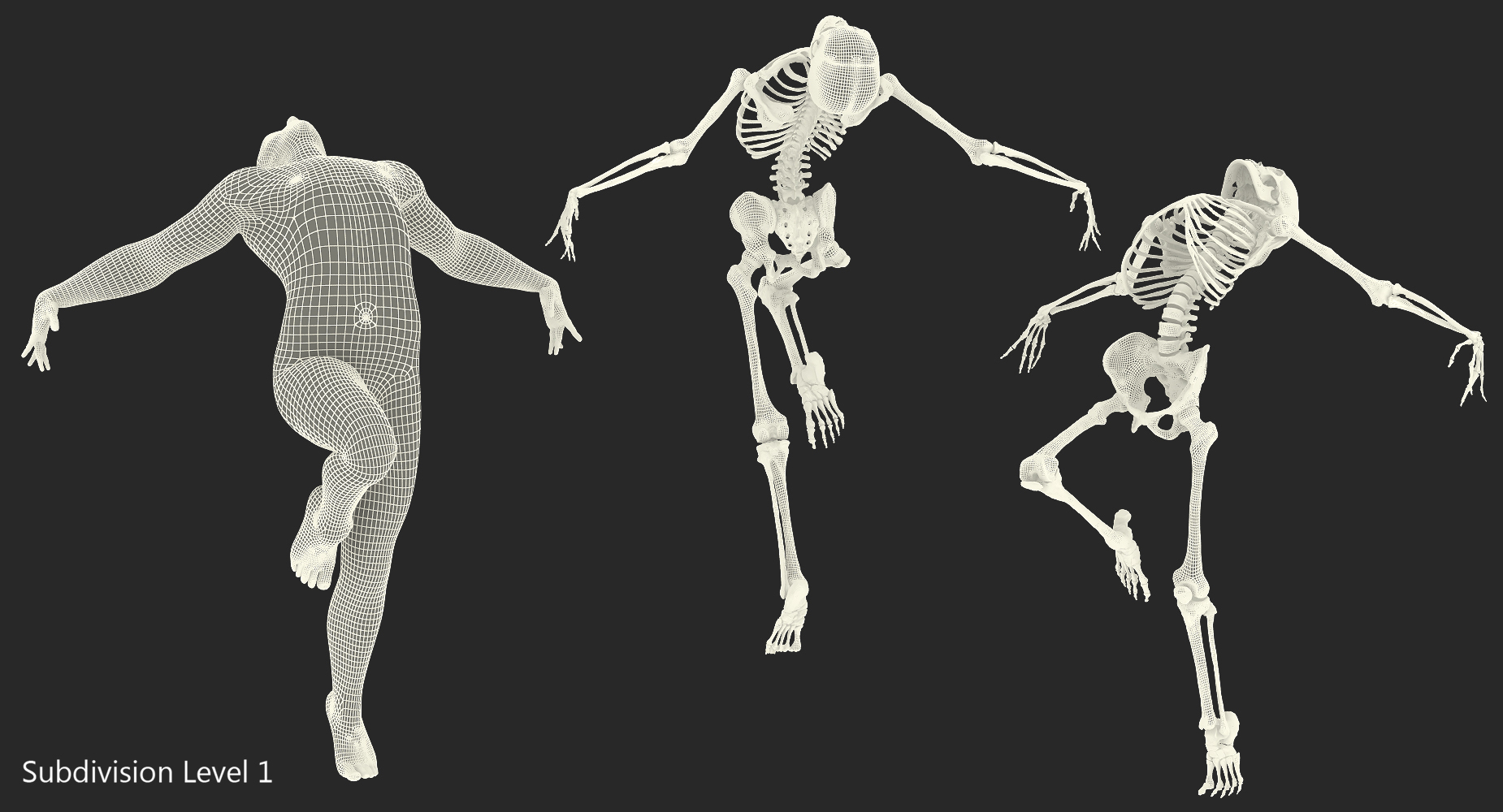 Male body skeleton ballet 3D - TurboSquid 1229825