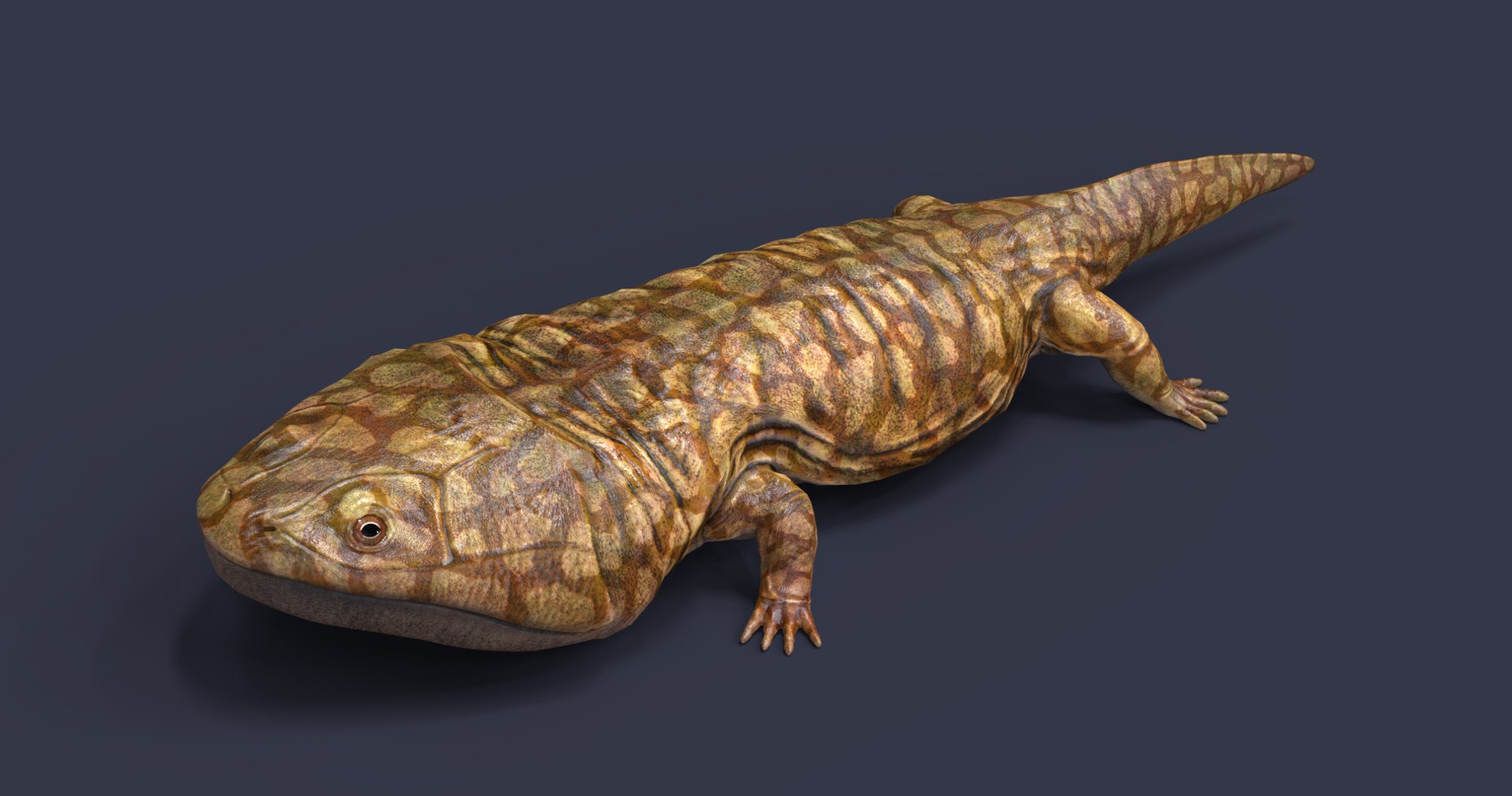 3D Extinct Amphibian Model - TurboSquid 1502195
