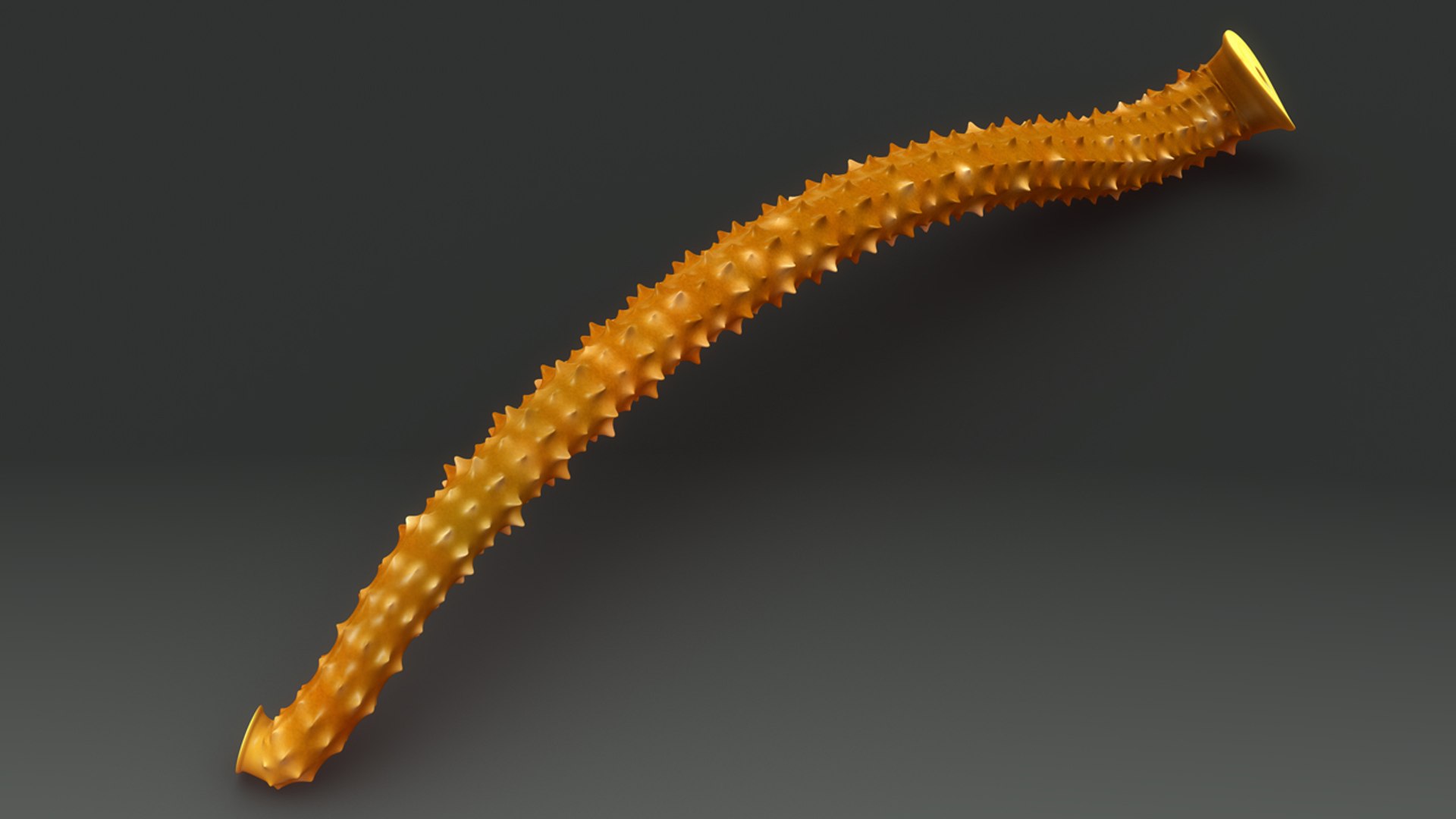 3d Model Pontobdella