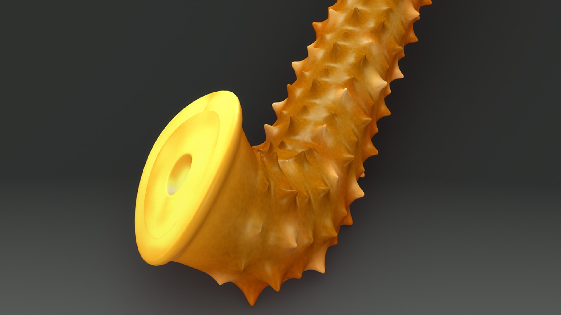 3d Model Pontobdella