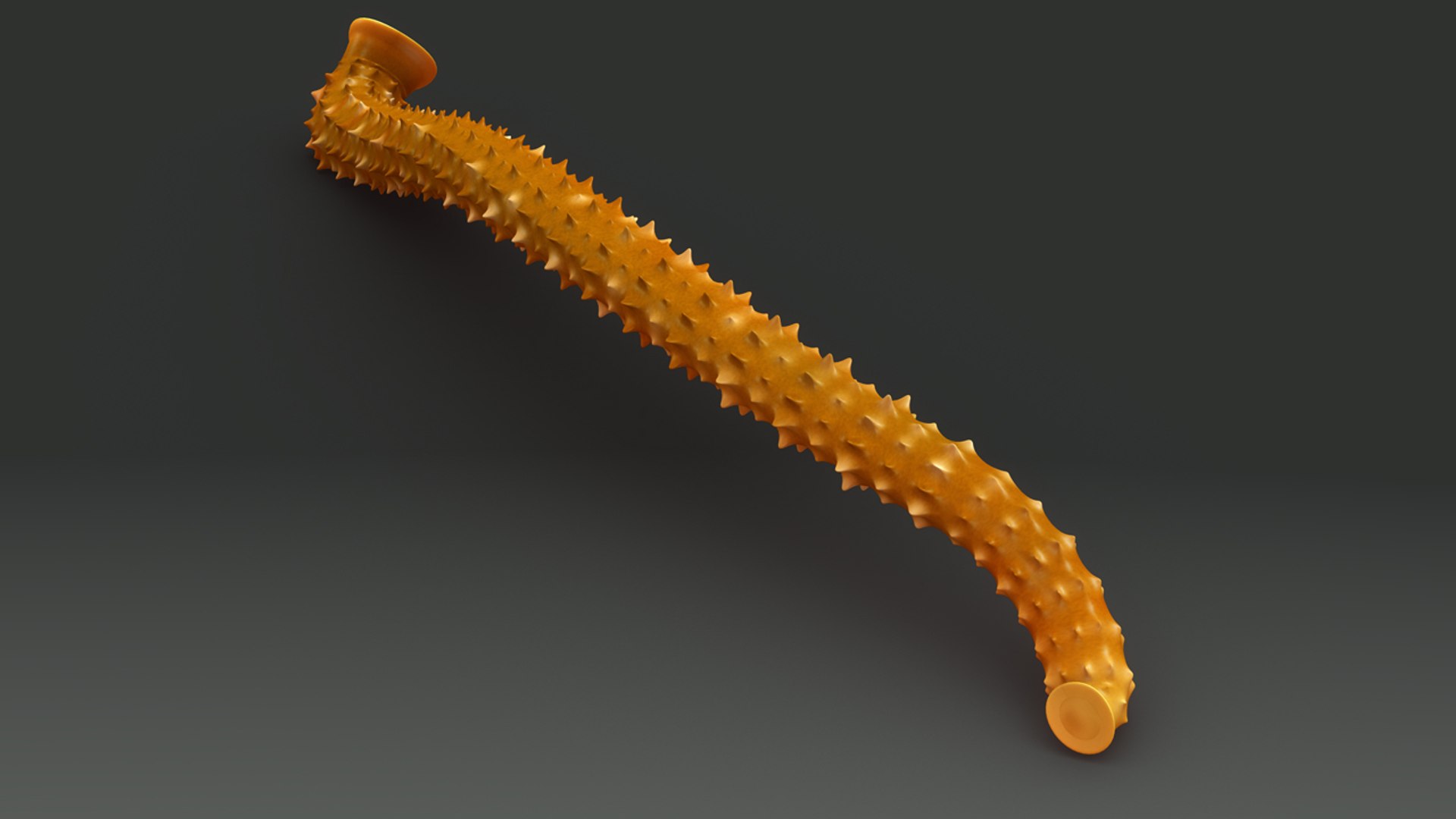 3d Model Pontobdella