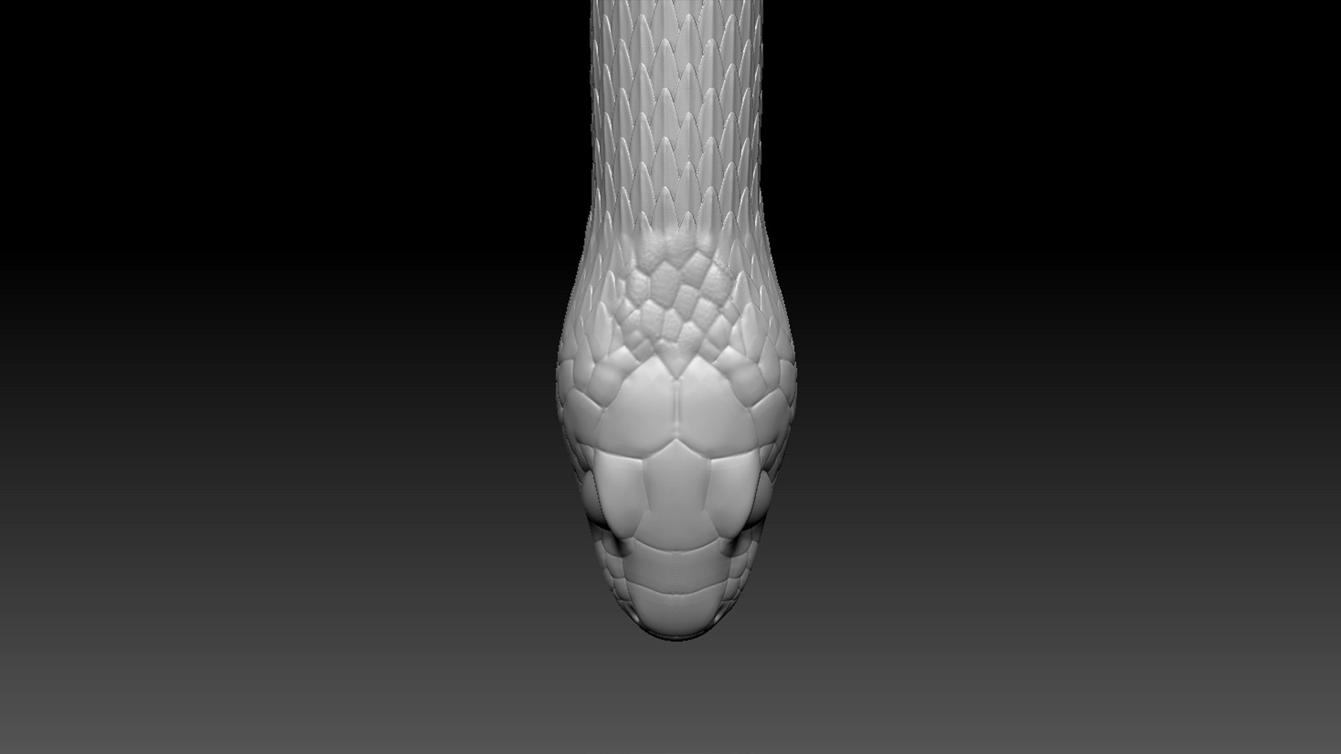 Garter Snake Zbrush Model 3D - TurboSquid 2365491