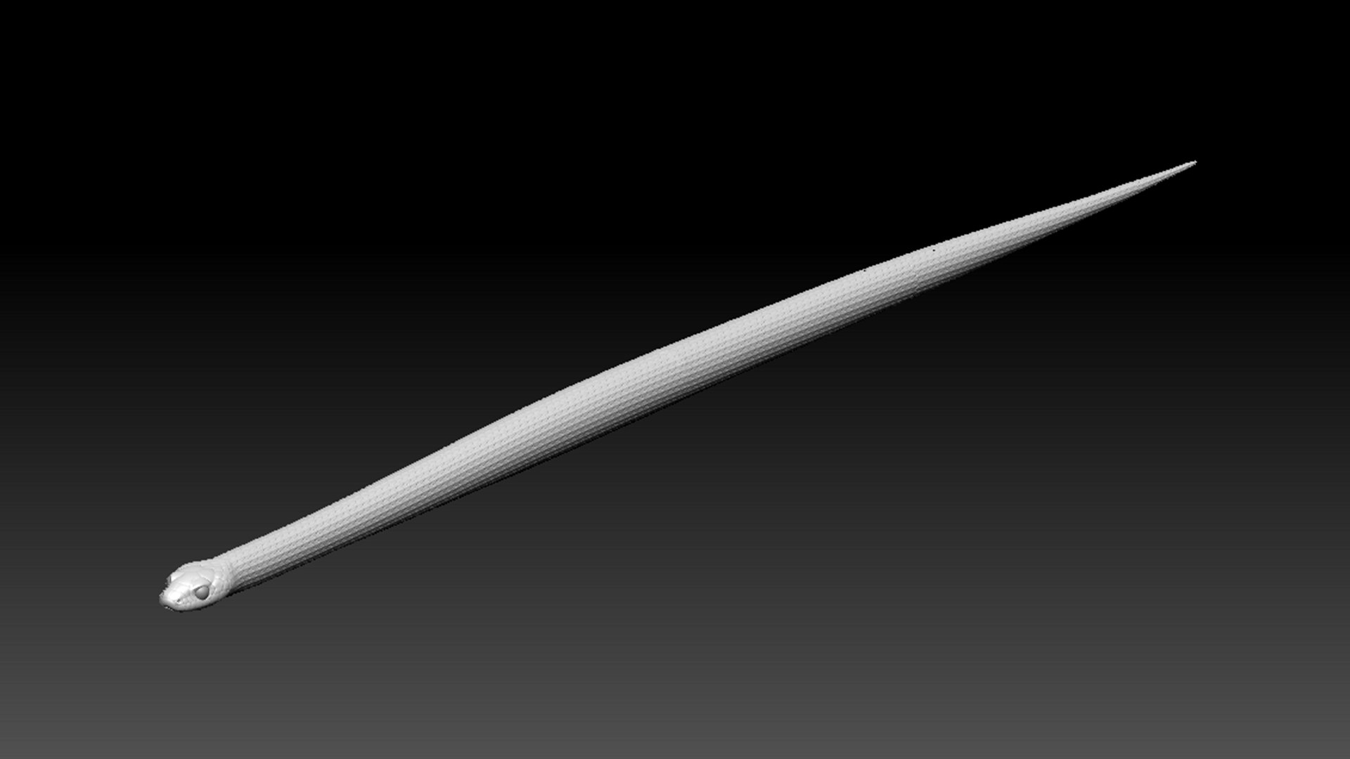 Garter Snake Zbrush Model 3D - TurboSquid 2365491