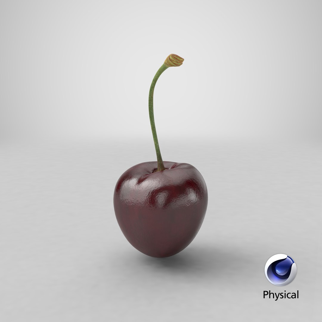 Cherry 3 3D model - TurboSquid 1590839