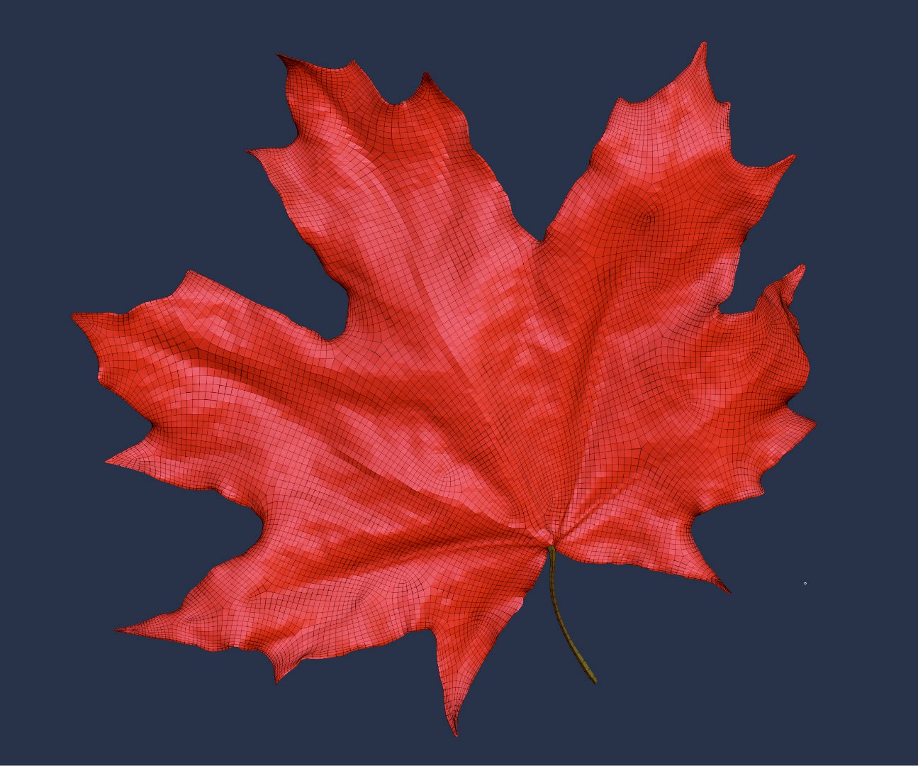 3D Autumn Maple Leaf 1 Model - TurboSquid 1337860