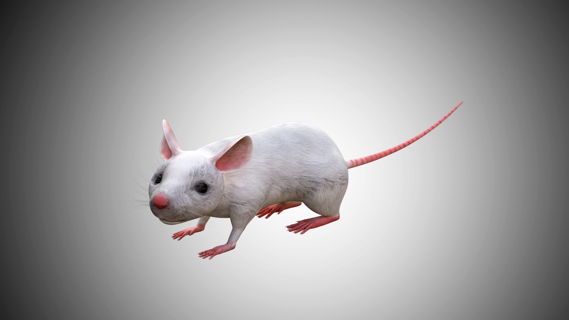3D rigged realistic - TurboSquid 1659272